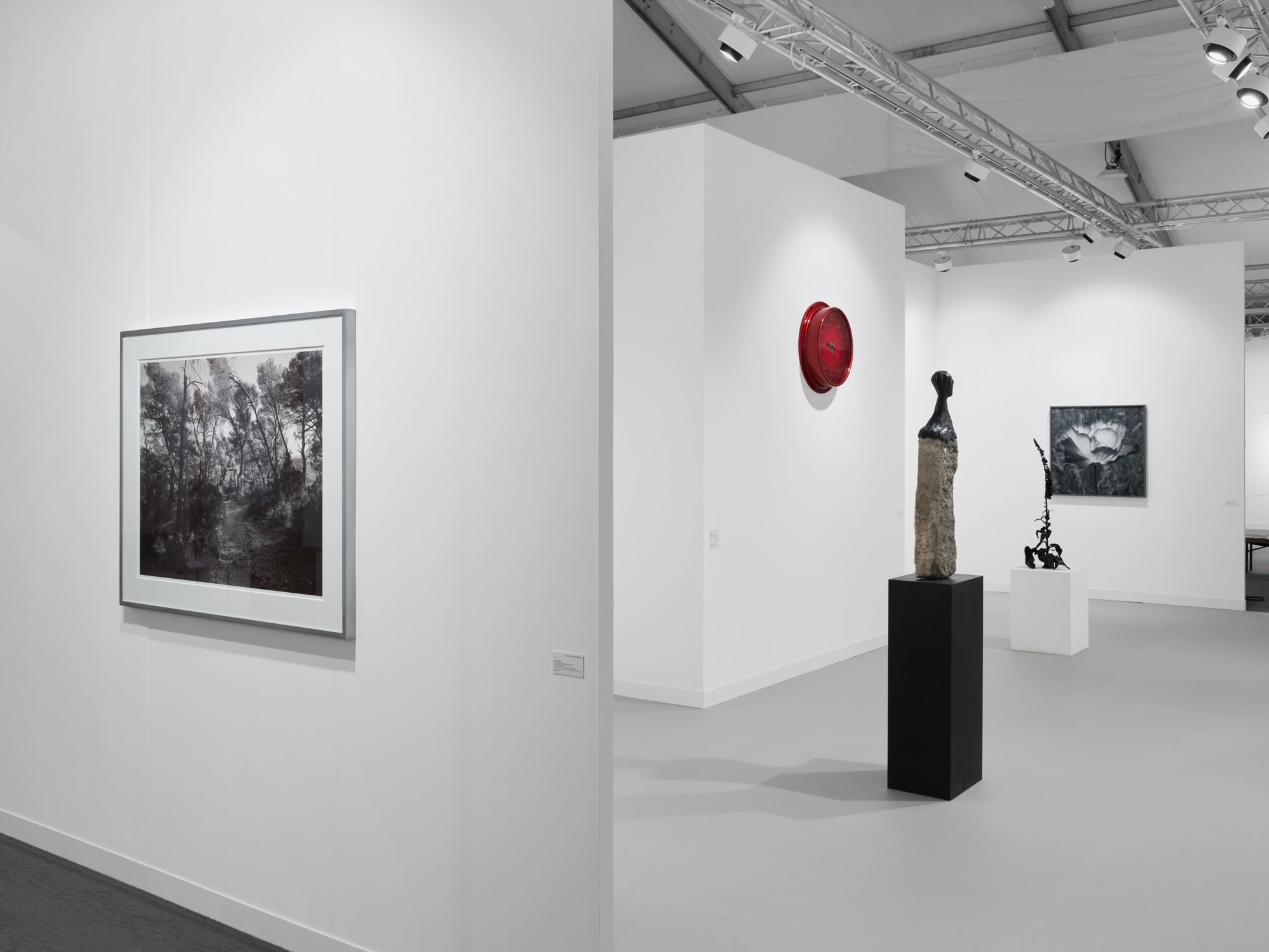 Frieze London 2024 | Frith Street Gallery