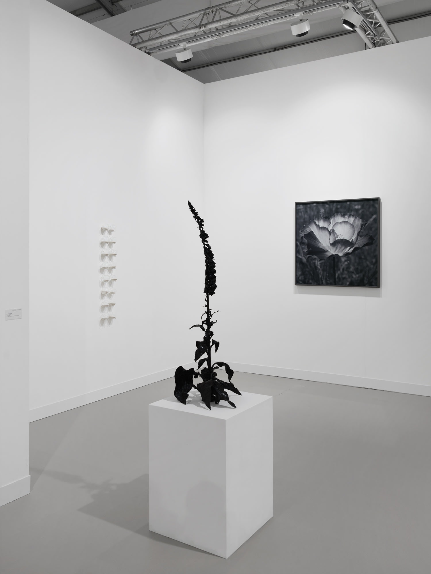 Frieze London 2024 | Frith Street Gallery