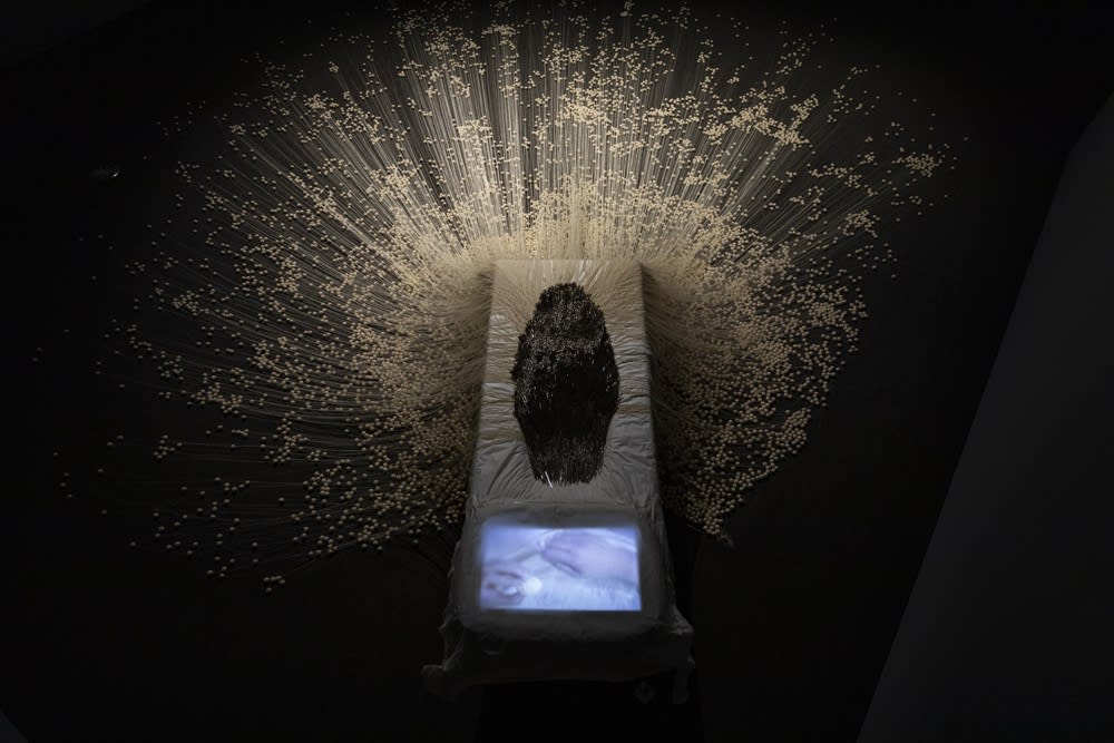 Lin Tianmiao | Galerie Lelong