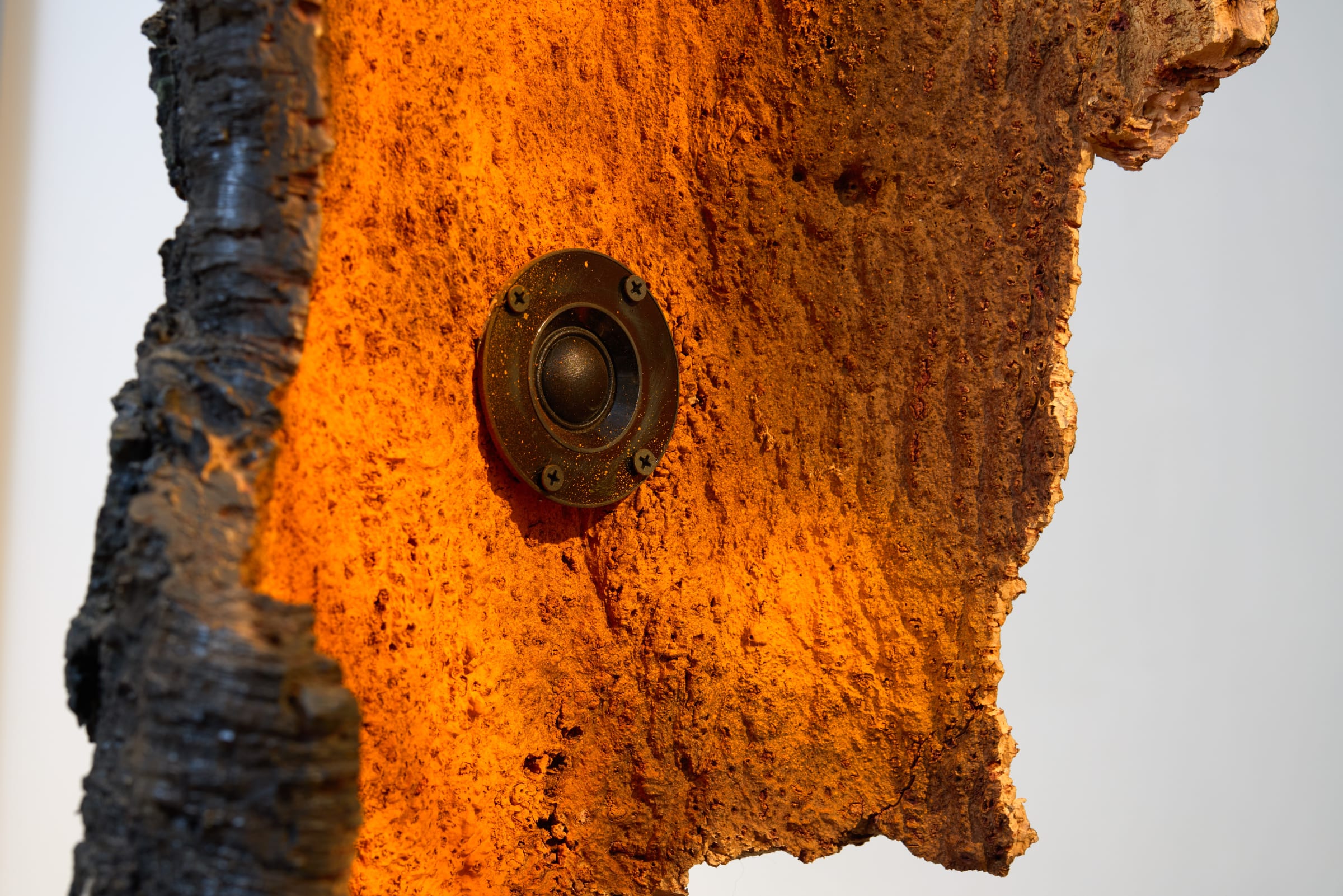 EXHIBITION | MARCIN DUDEK | Harlan Levey Projects