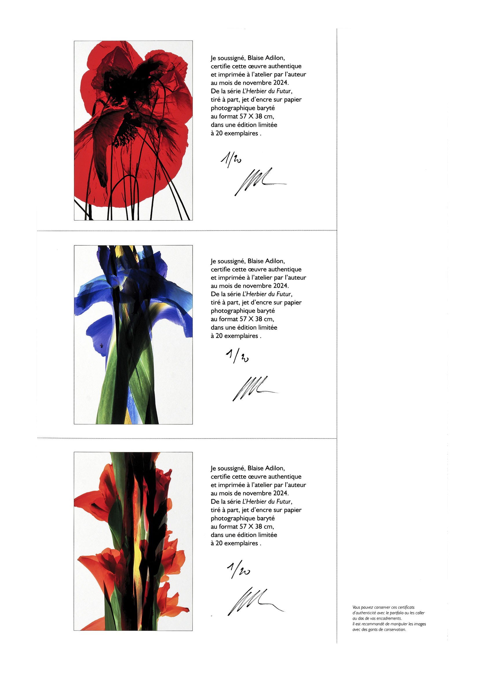 PORTFOLIO | Henri Chartier