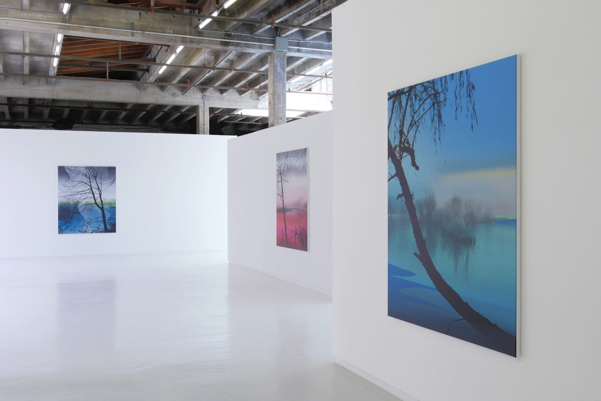 Birgit Jensen | Hosfelt Gallery