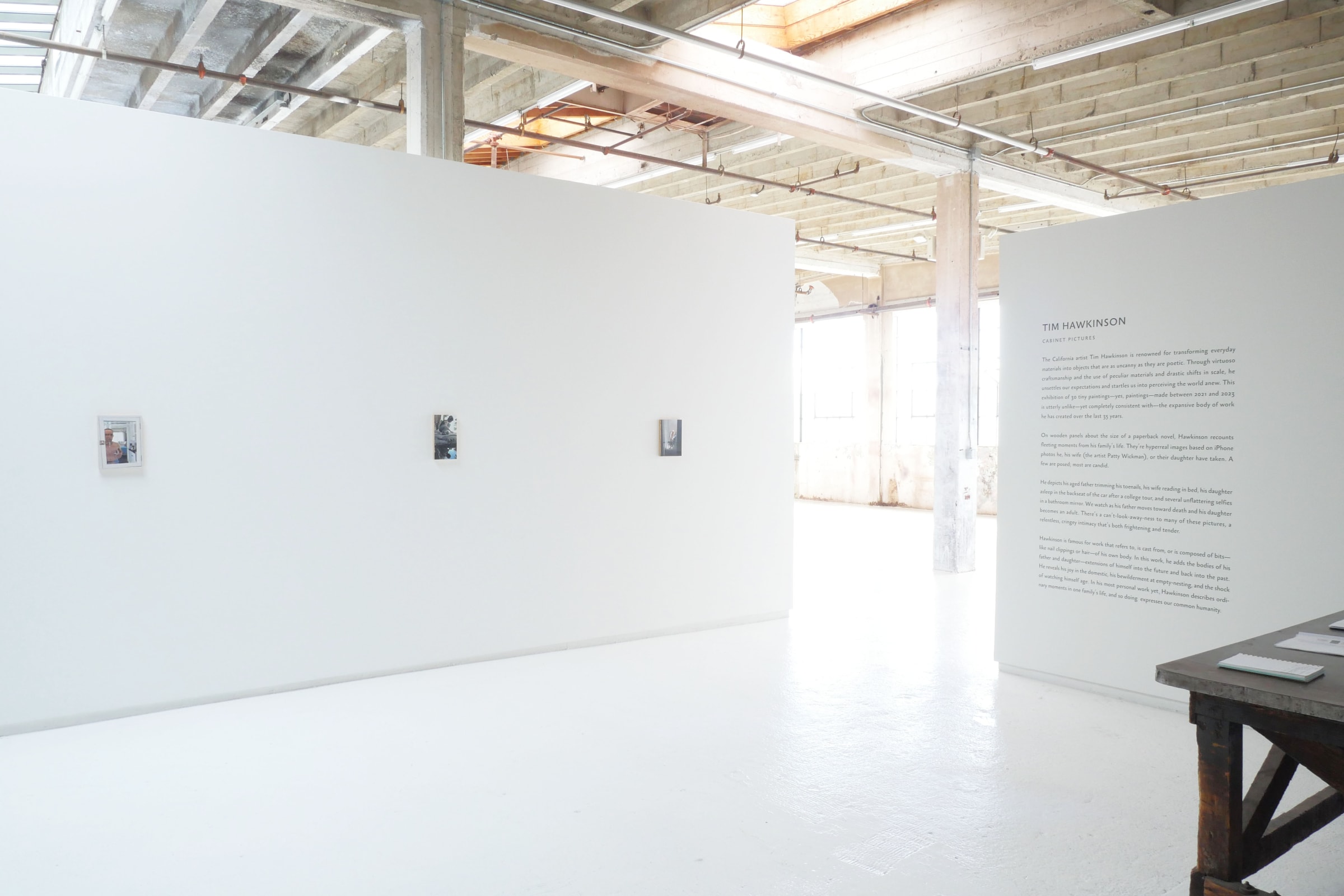 Tim Hawkinson | Hosfelt Gallery