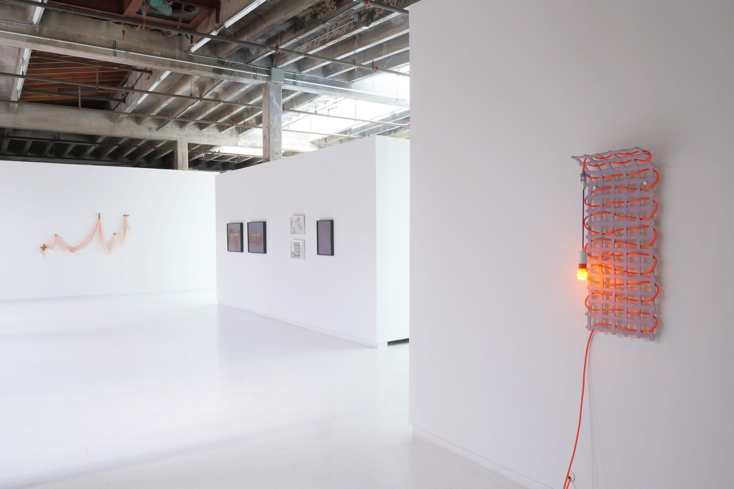 The Dump Show | Hosfelt Gallery