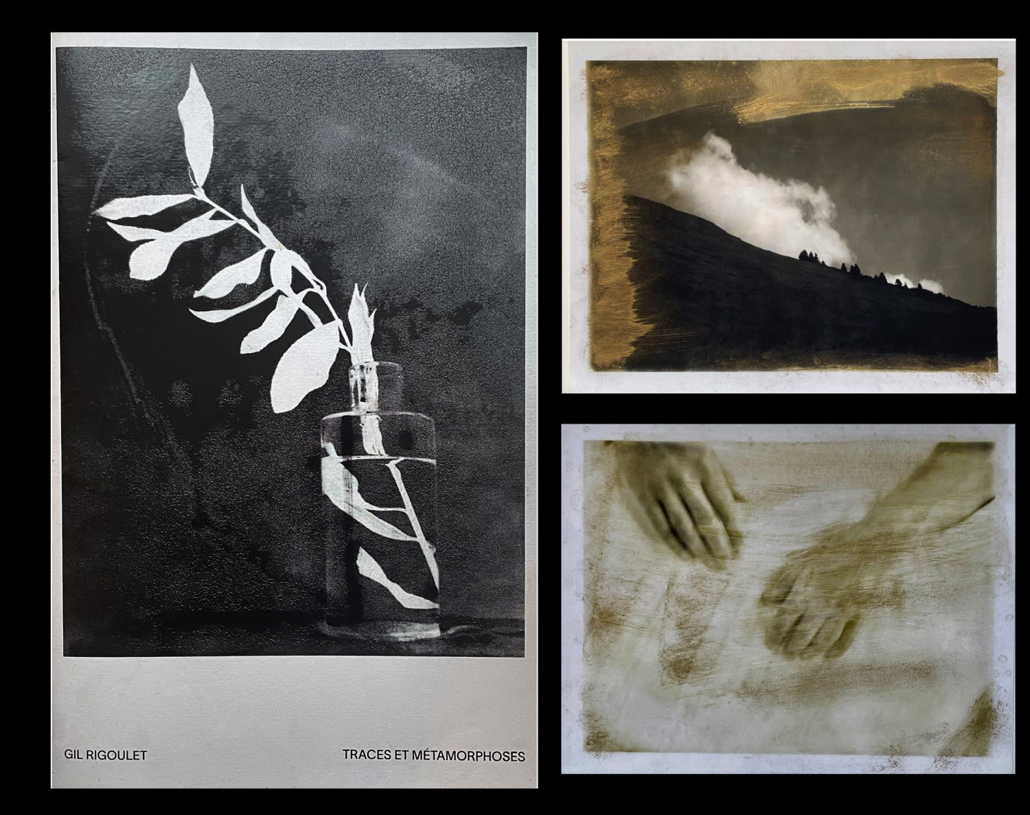 Publication: Traces et Métamorphoses - Gil Rigoulet - Special Edition ...