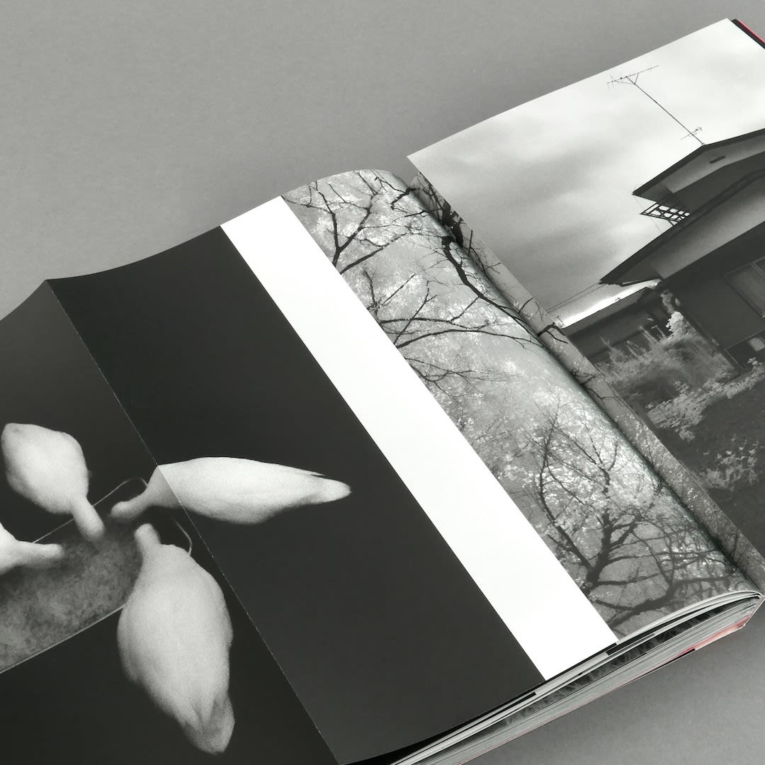 Publication: Somewhere Not Here - Toshiya Watanabe | IBASHO