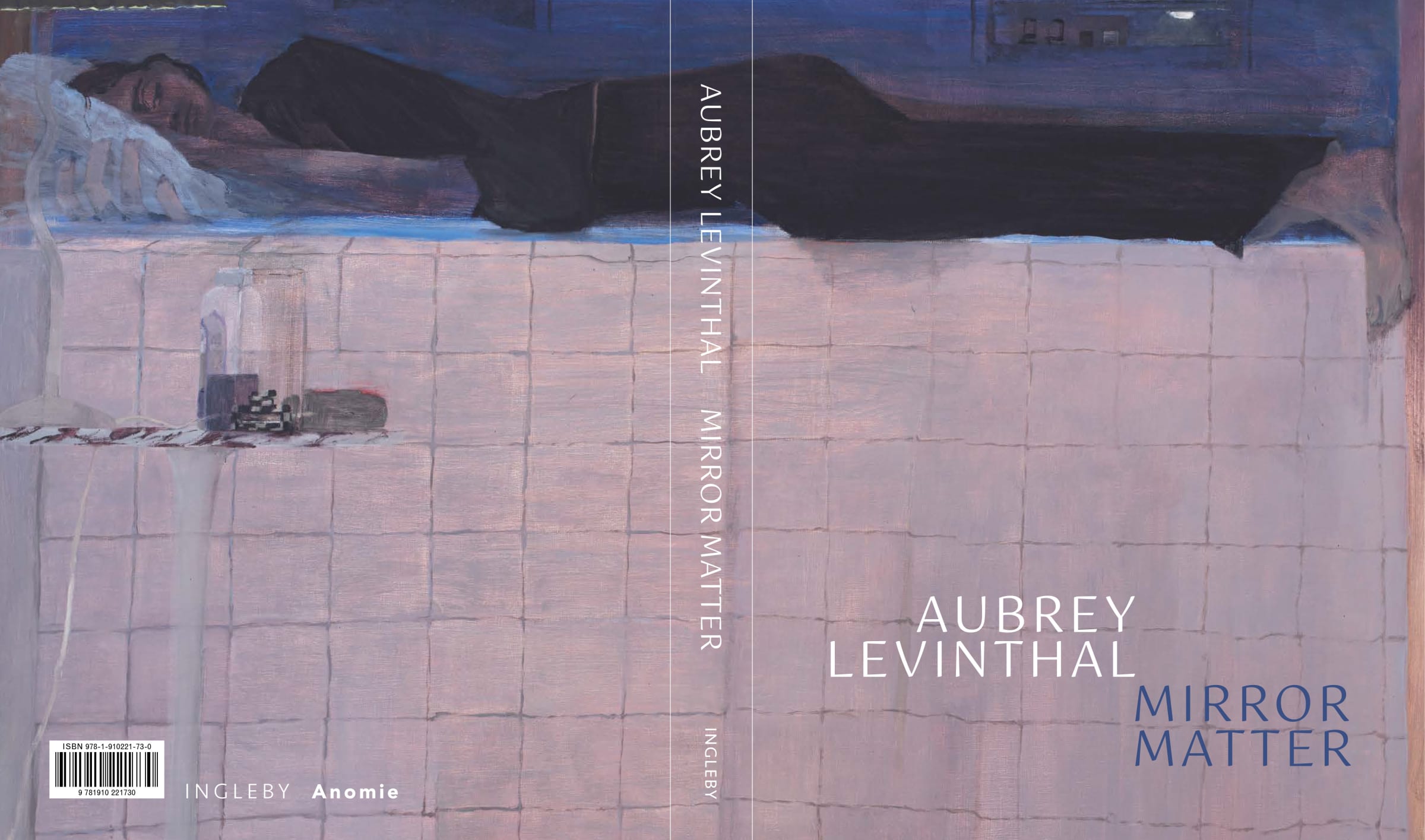 Publication: Aubrey Levinthal: Mirror Matter | Ingleby Gallery