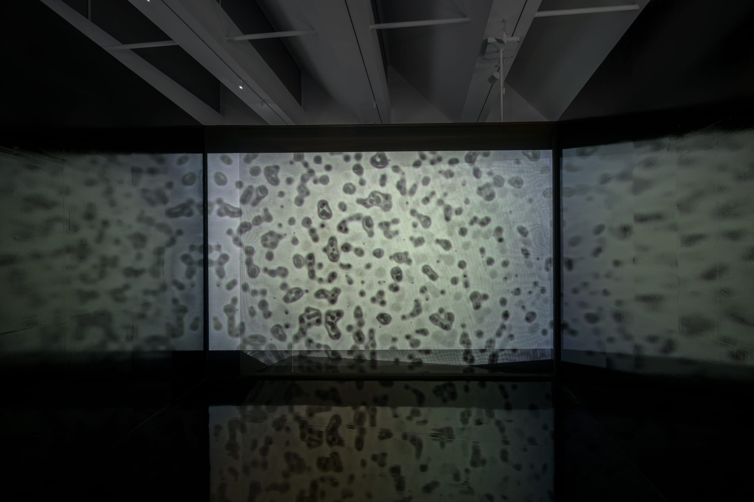 Zheng Chongbin’s solo exhibition “Golden State” is presenting at Los ...