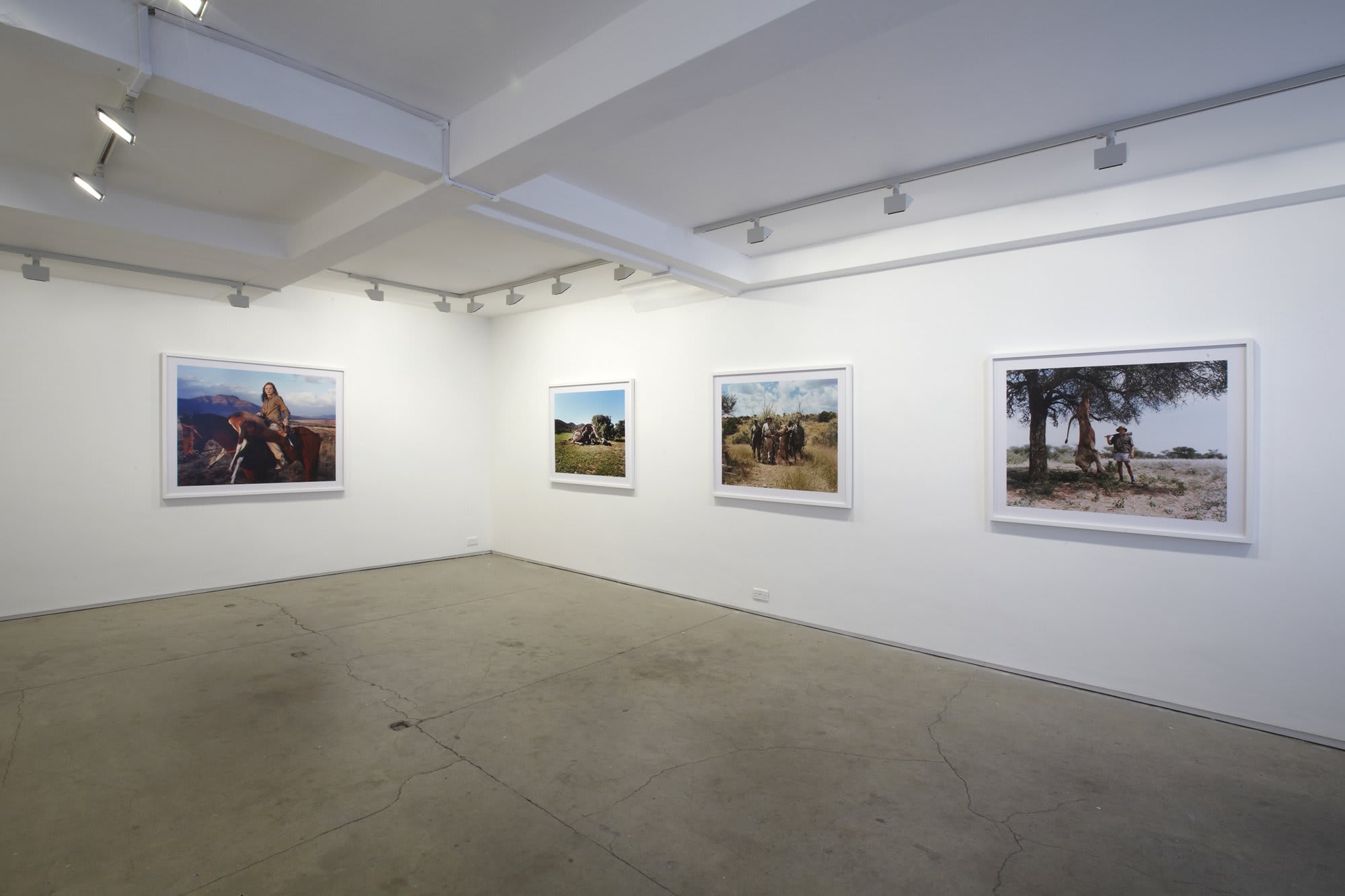 David Chancellor | 31 October - 10 November 2012 | Larkin Durey