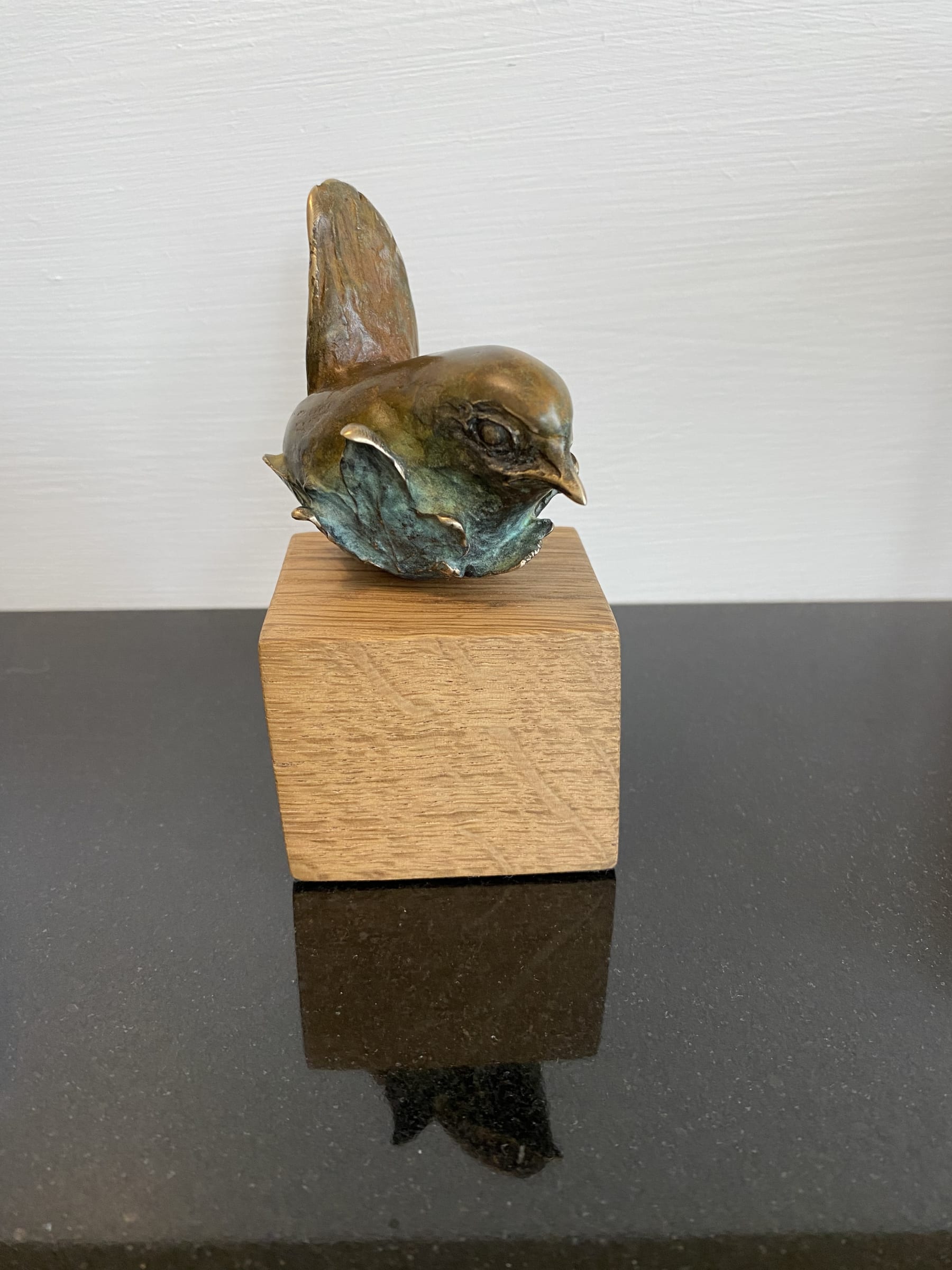 Chris Weston, Settled Wren, 2025 | The Lion Street Gallery