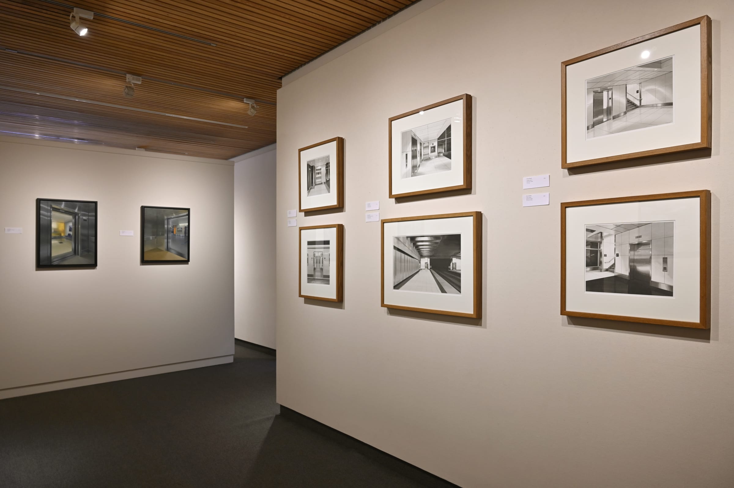 PETER HARRIS | September 14 - October 12, 2024 | Mira Godard