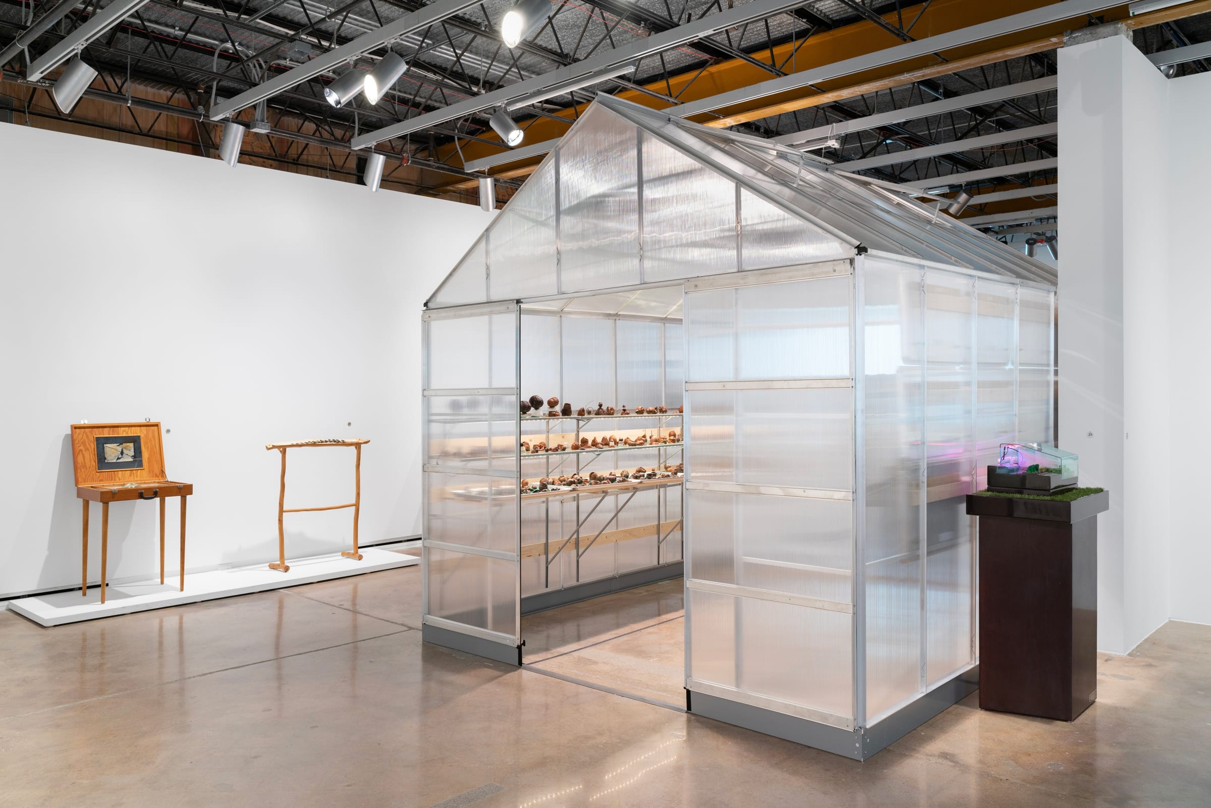 Carl Cheng: Nature Never Loses | Philip Martin Gallery