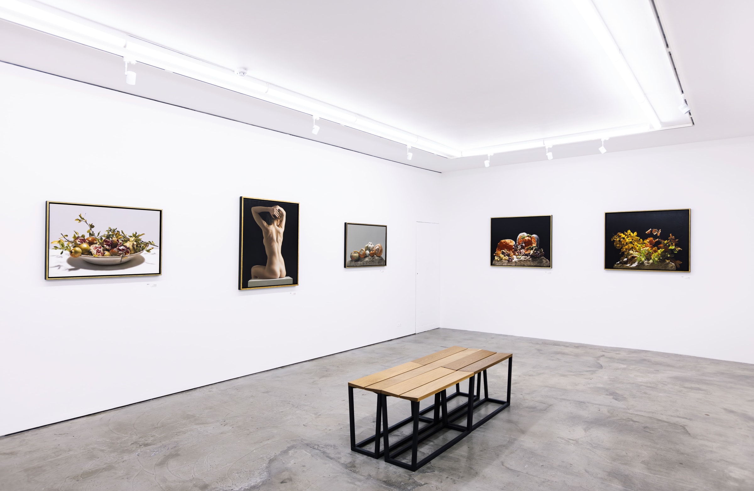 Luciano Ventrone | 17 October 2024 - 11 January 2025 | Pontone Gallery
