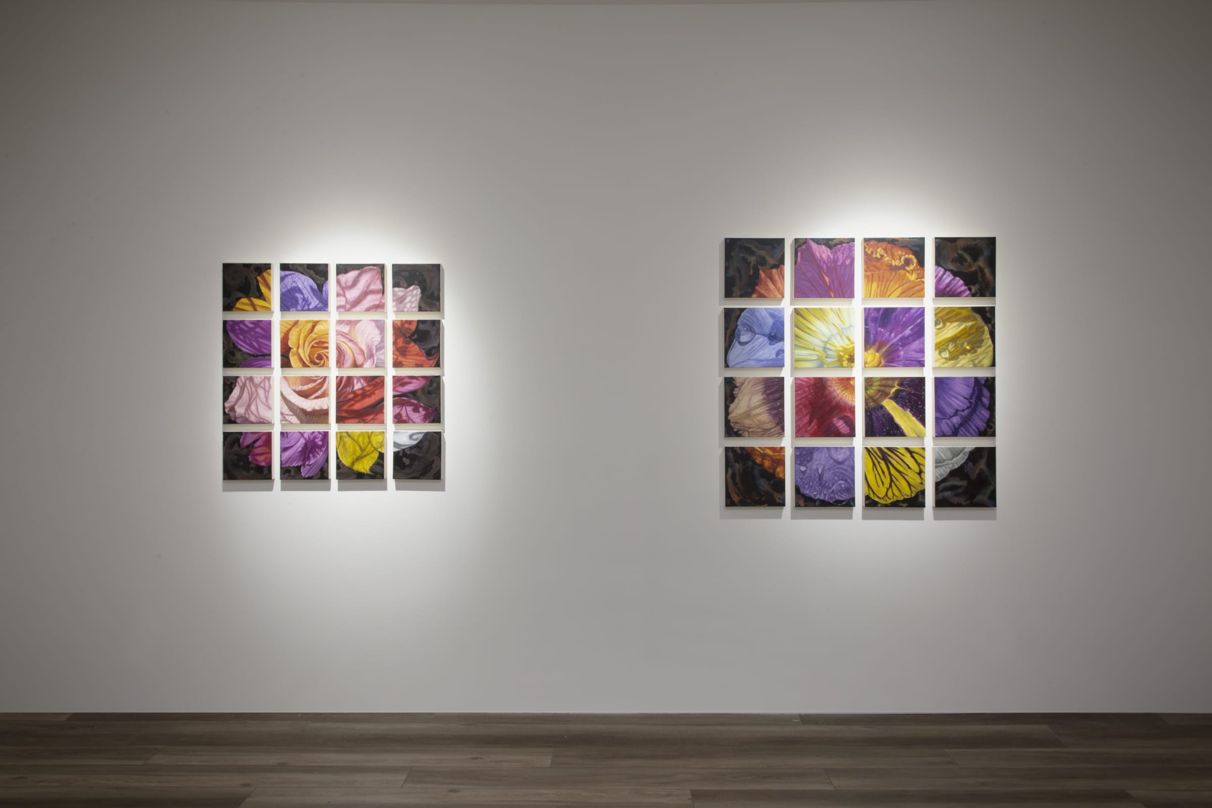 Gail Roberts | Natural Selection | Nov 2 - Dec 7, 2024 | Quint Gallery