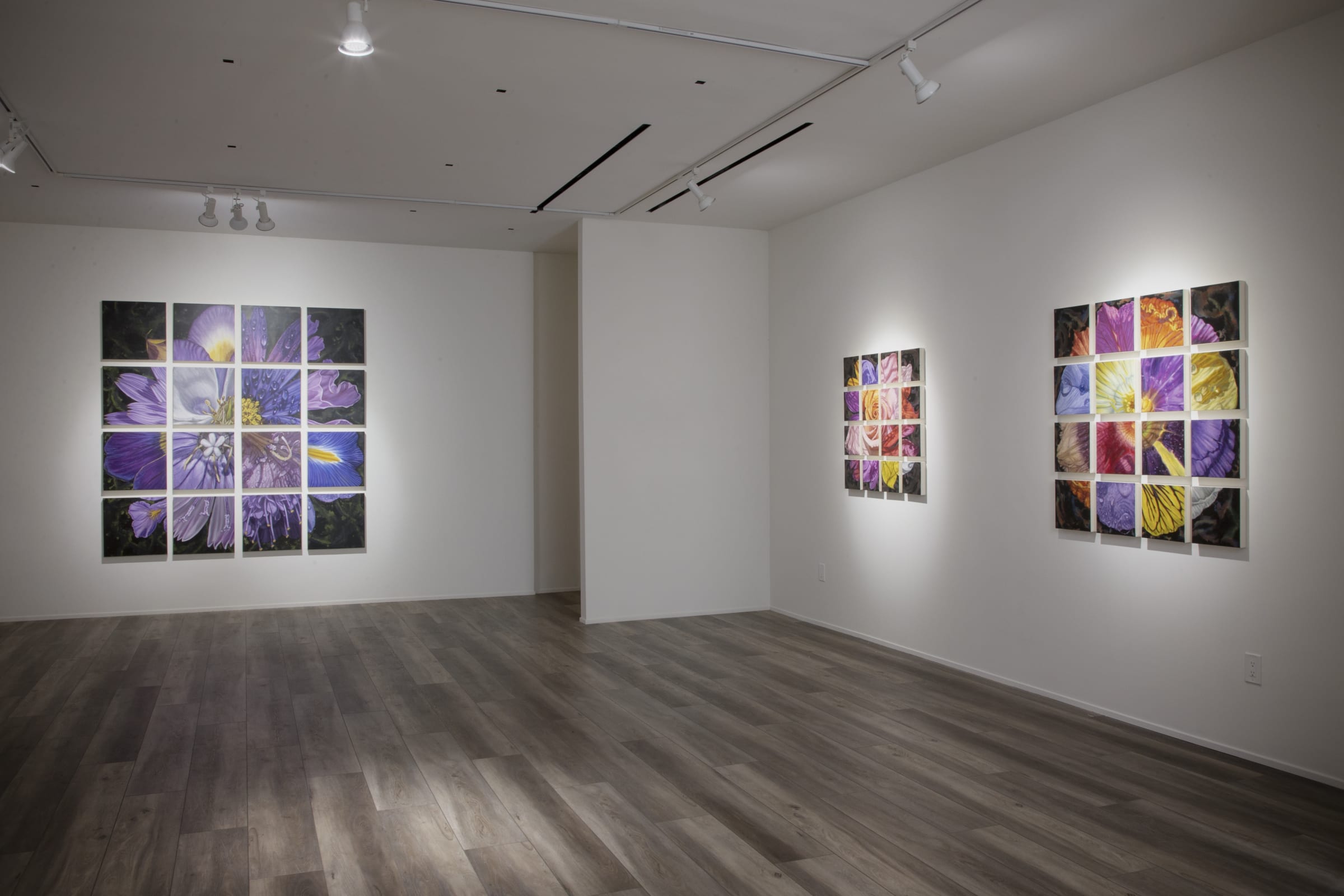 Gail Roberts | Natural Selection | Nov 2 - Dec 31, 2024 | Quint Gallery