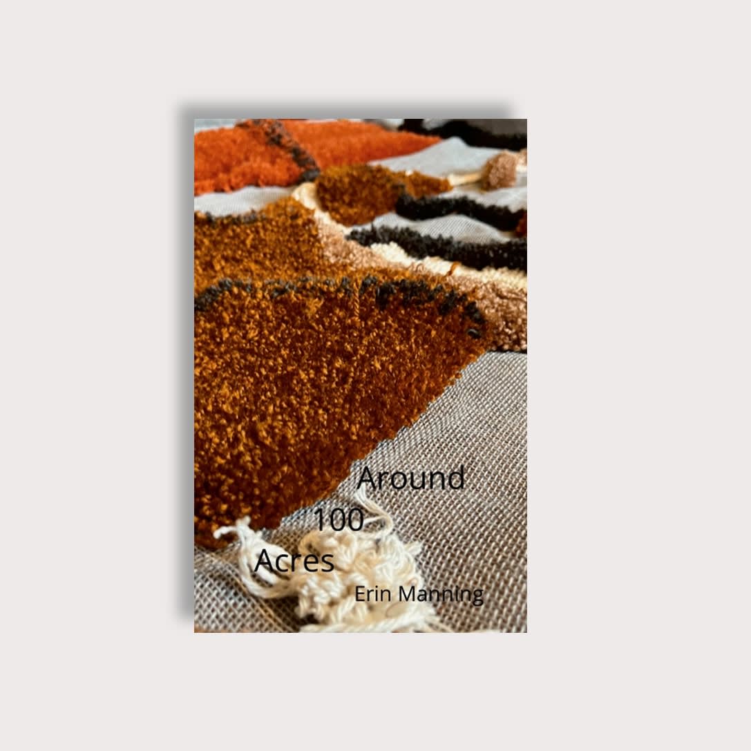 Publication: Erin Manning - Around 100 Acres | Richard Saltoun