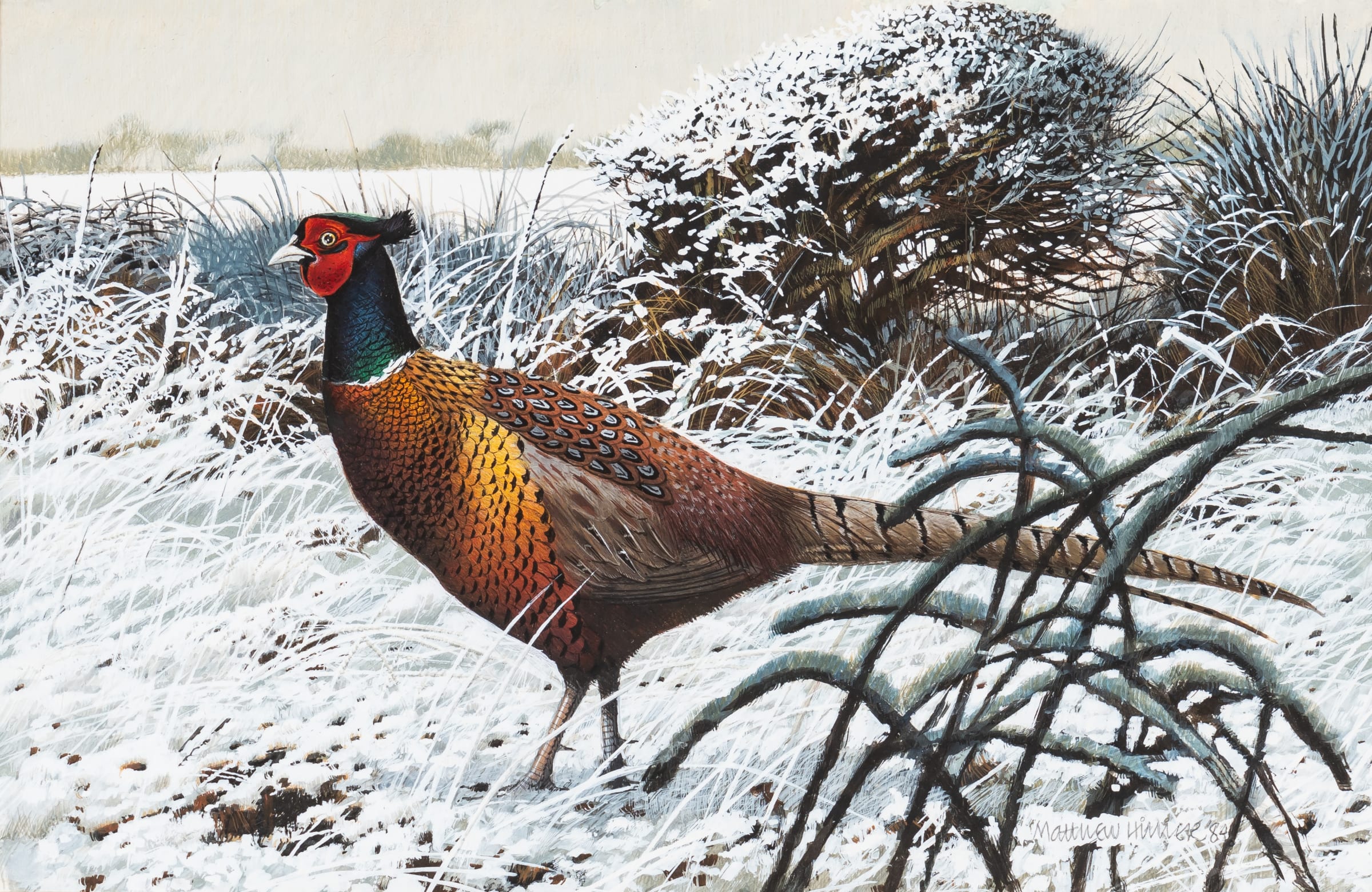 Matthew Hillier, Pheasant in the snow | Rountree Tryon