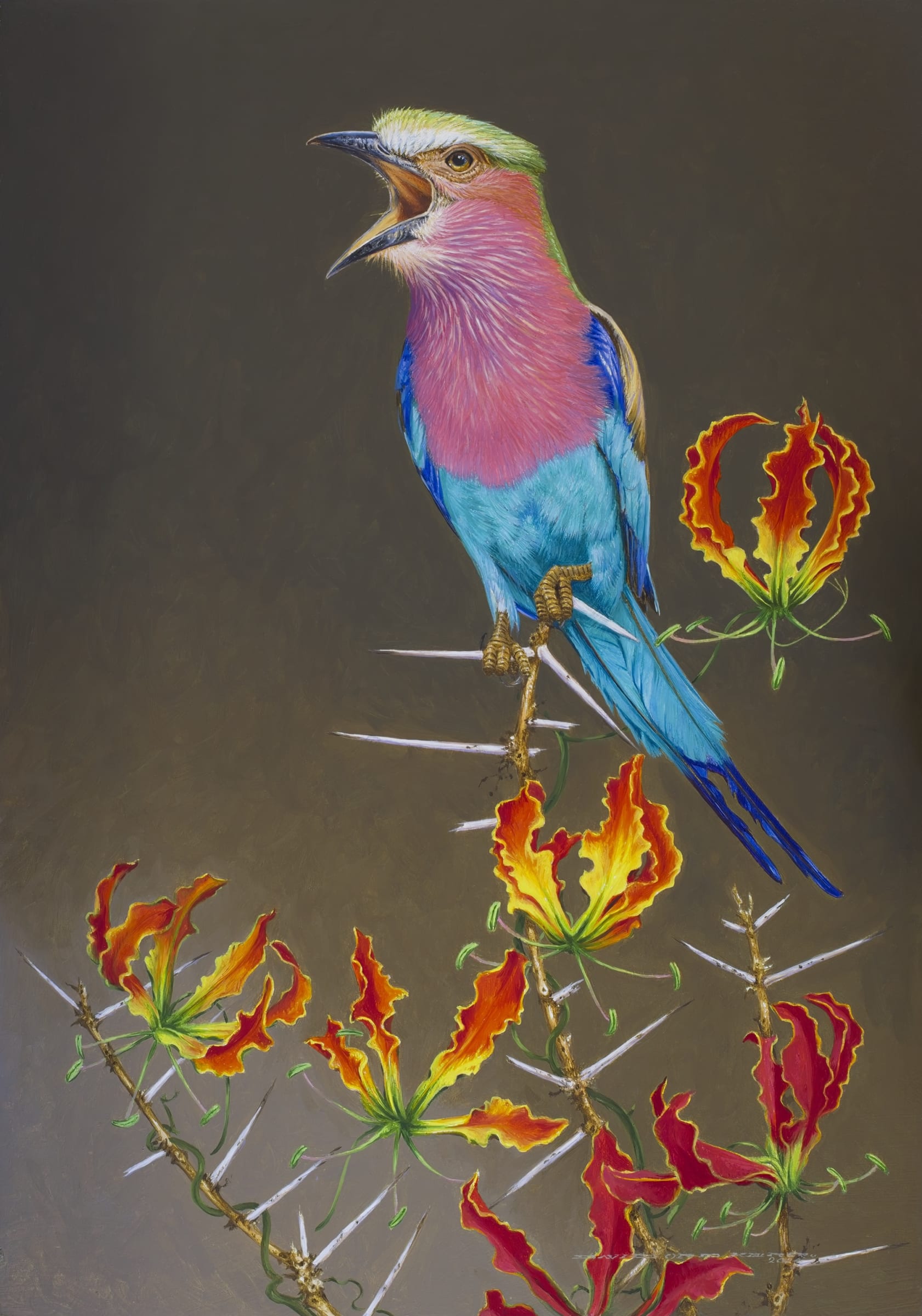 David Ord Kerr, Lilac-brested Roller with Gloriosa rothschildiana ...