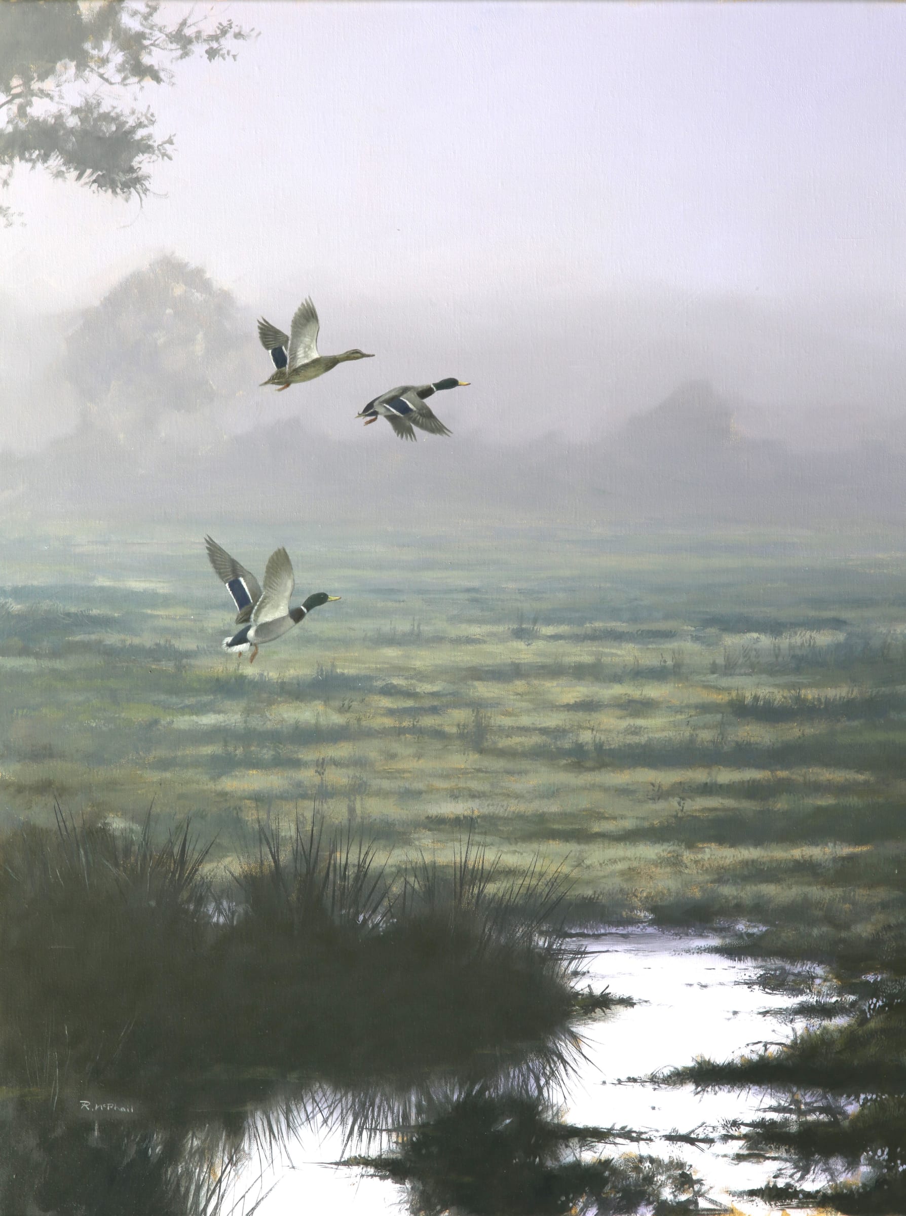 Rodger McPhail, Rising Mallard | Rountree Tryon