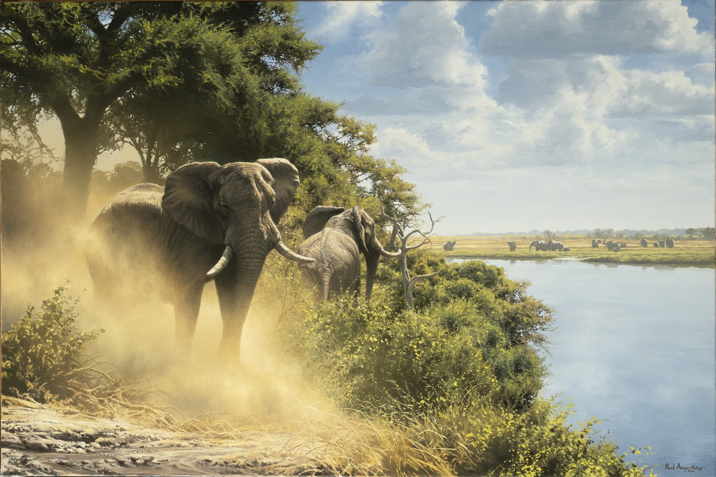 Paul Augustinus, Refugia Series: Opposite Sedudu Island, Chobe, 1968 ...