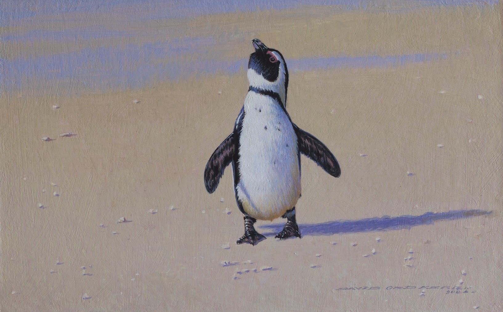 David Ord Kerr, Jackass Penguin (African Penguin) | Rountree Tryon