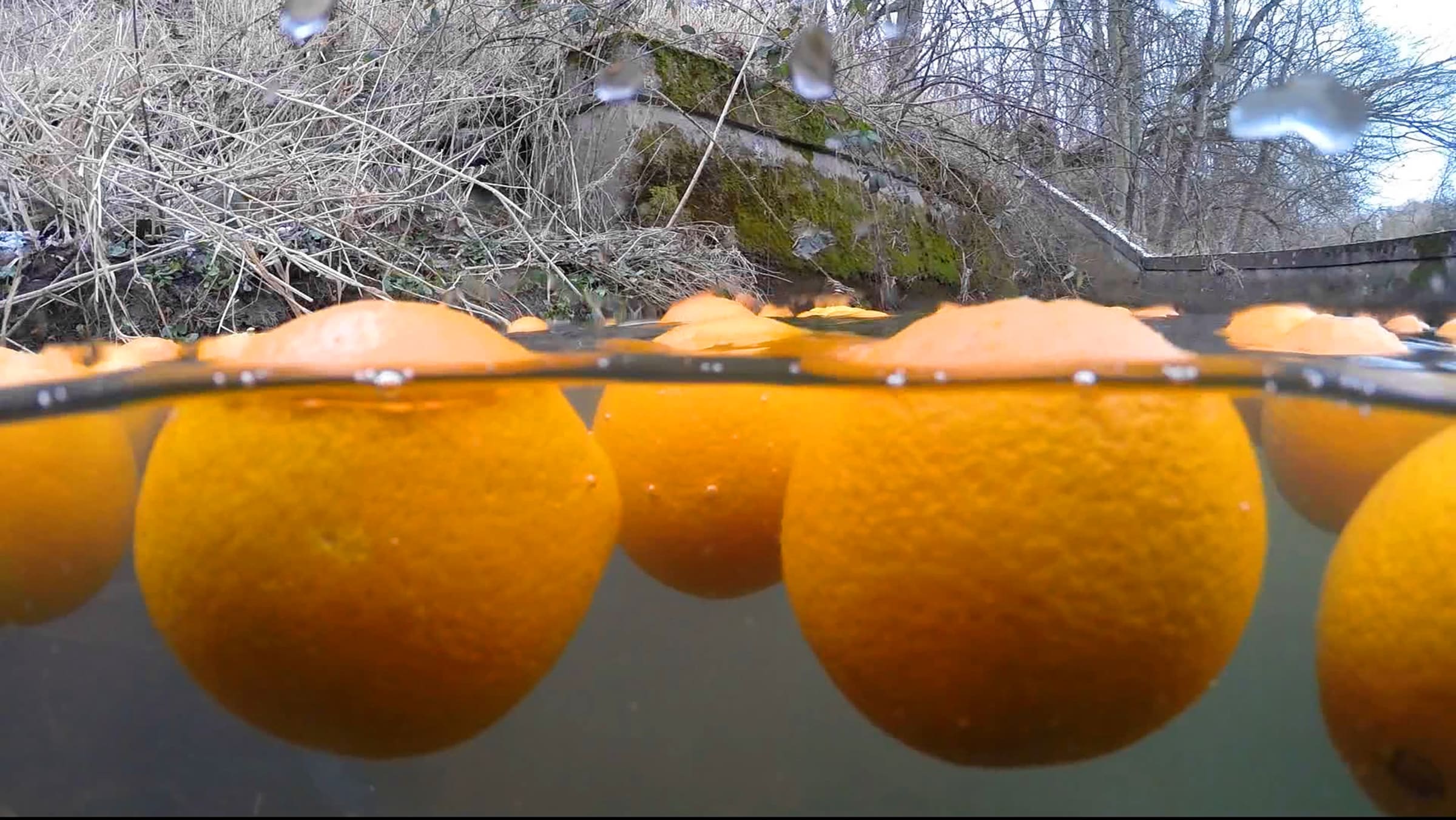 Works - RSA Annual Exhibition 2018 | Royal Scottish Academy