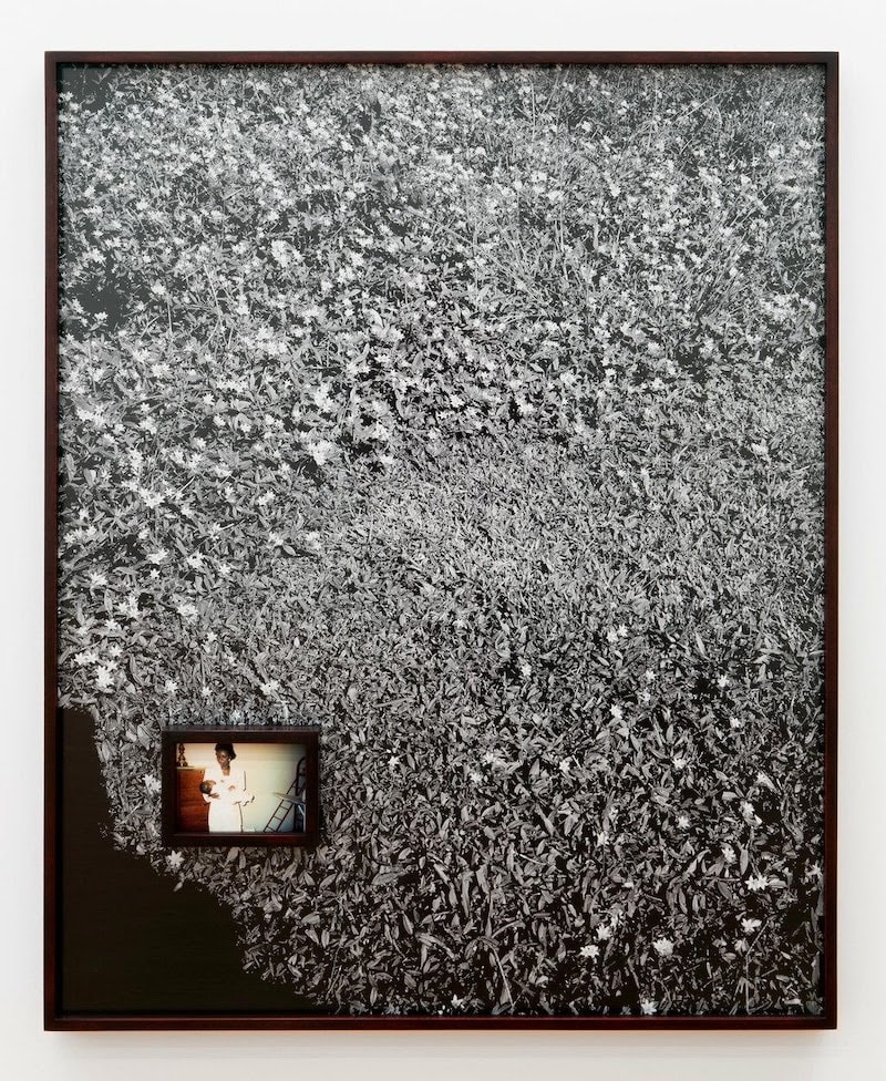 Widline Cadet: Pérez Art Museum Miami Presents Narratives in Focus ...