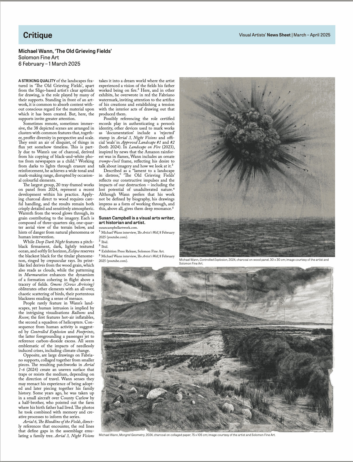 VAI critique of Michael Wann's the old grieving fields | Solomon Fine Art