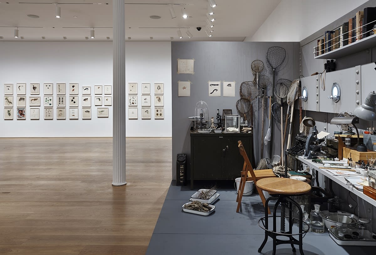 MARK DION: EXPLORATORY WORKS: DRAWINGS FROM THE DEPARTMENT OF TROPICAL ...