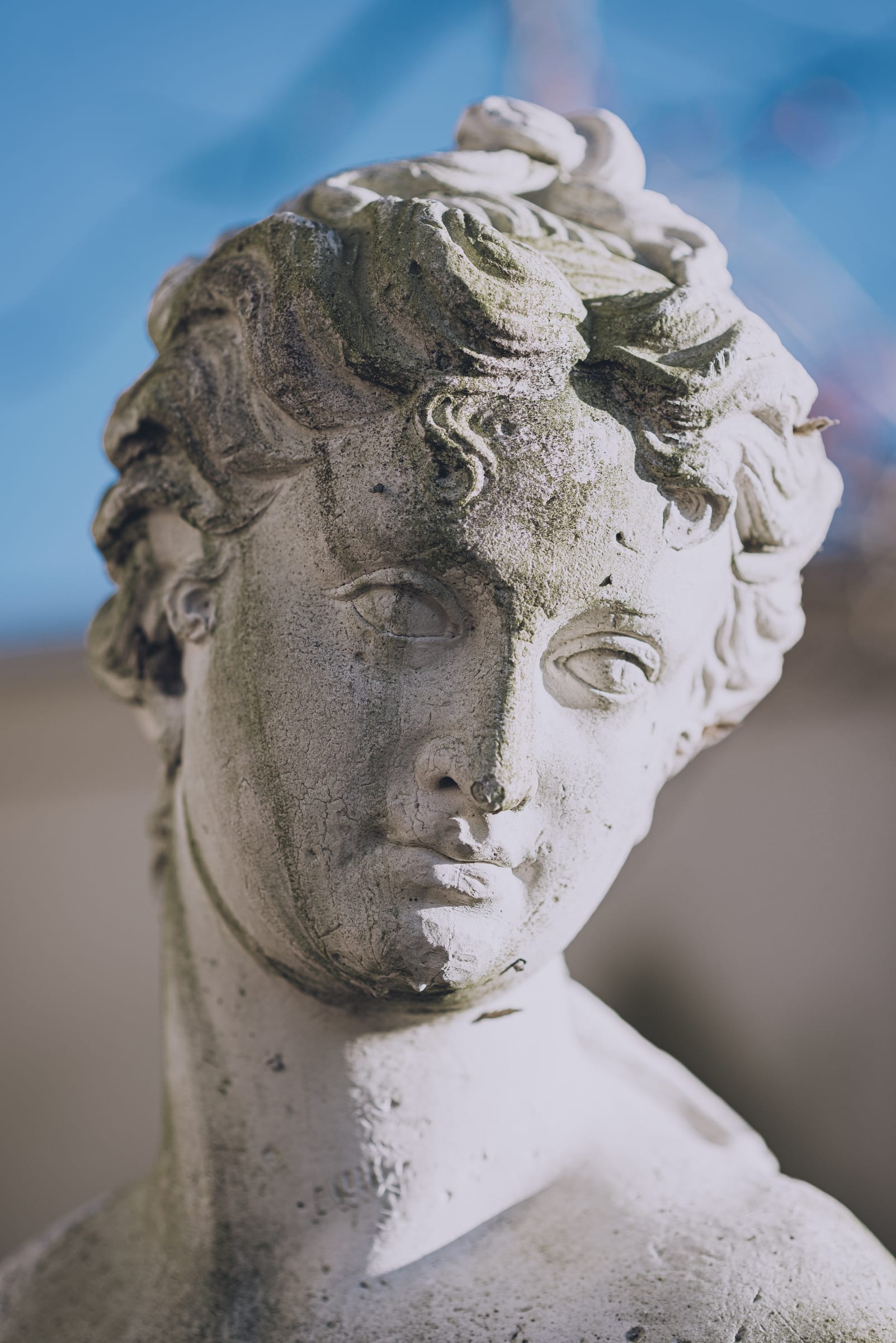 Exhibition 1 | TemplateProSetupData