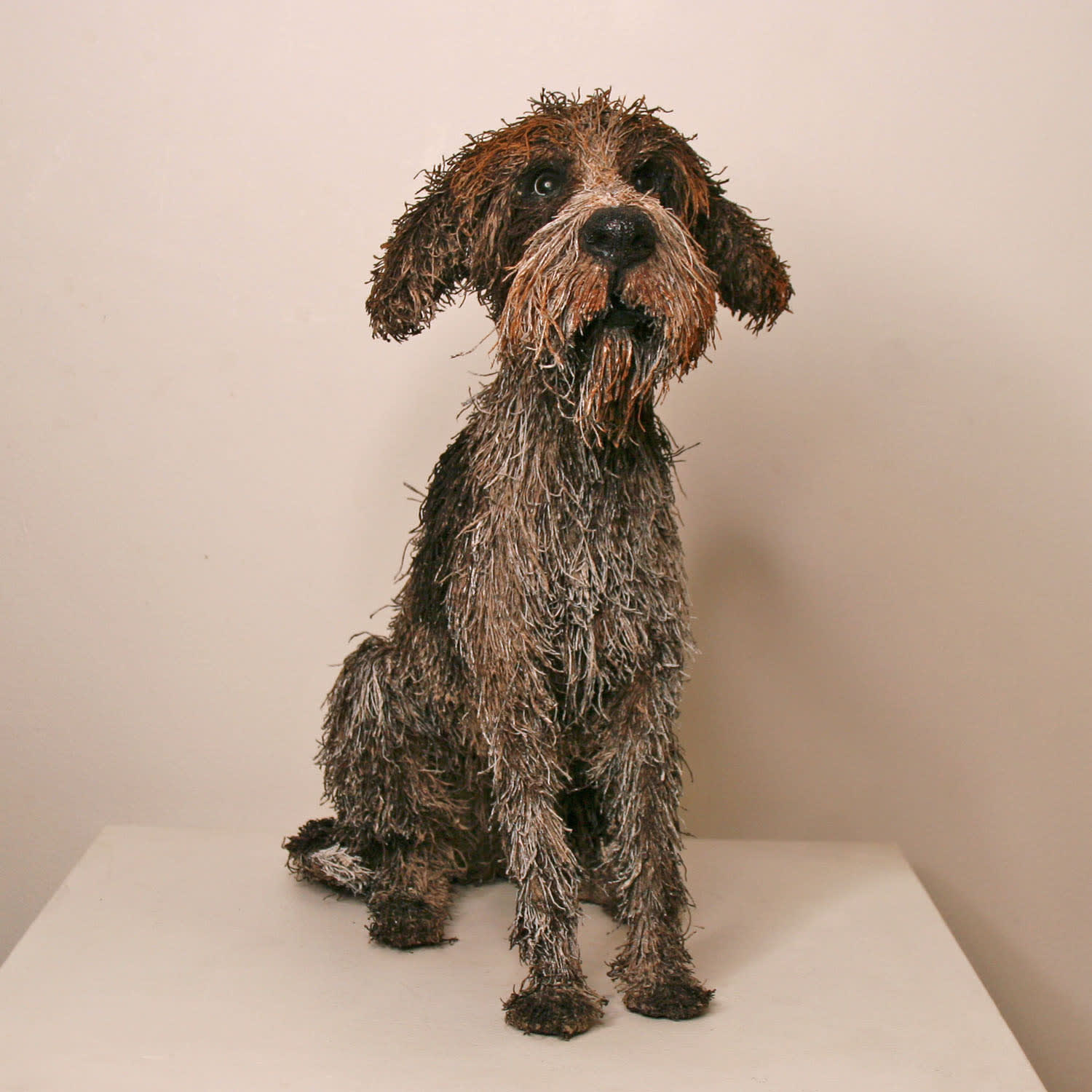 Gemma Rees, Chester (Wire-Haired German Pointer) | Sarah Wiseman Gallery