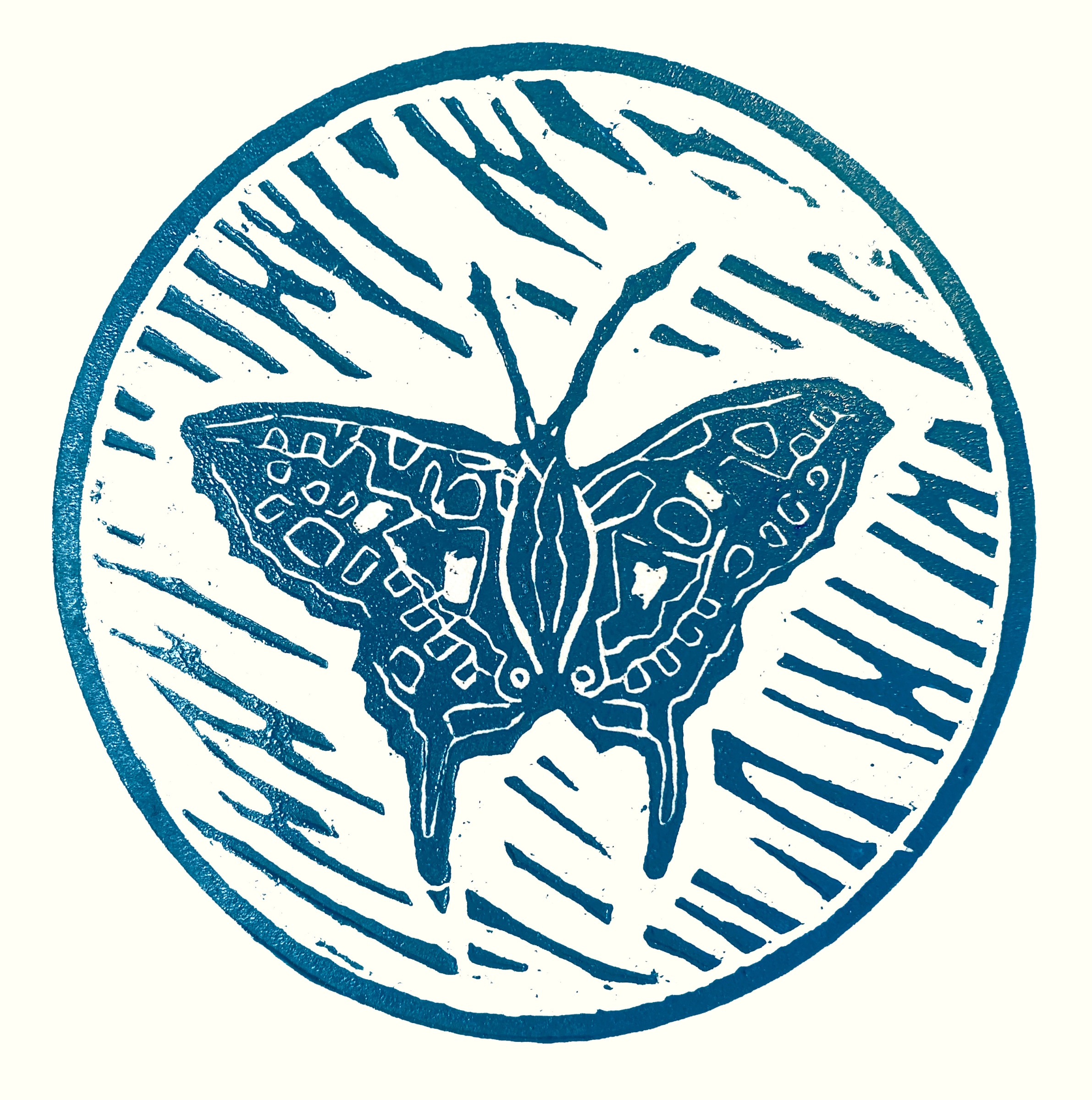 Angela Annesley, Butterfly | Mother Nature | Aubergine Art