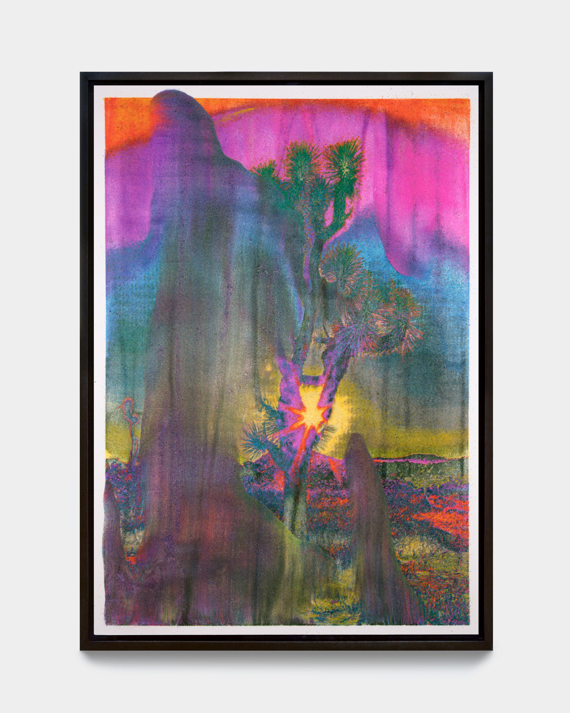 Matthew Brandt, Joshua Tree VC9B, 2023 | M+B Photo