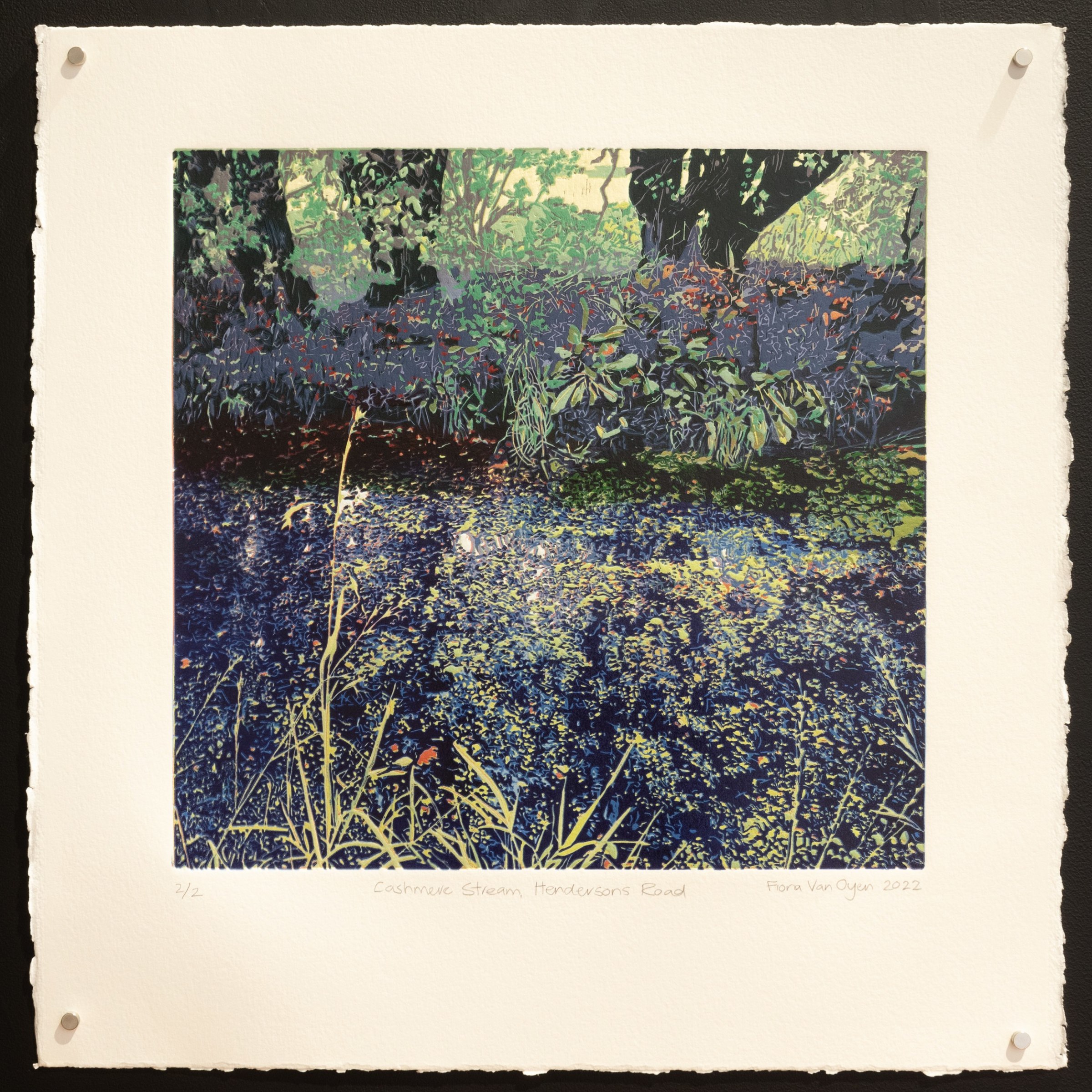 Fiona Van Oyen, Cashmere Stream, Hendersons Road, 2022 | Beneath the ...