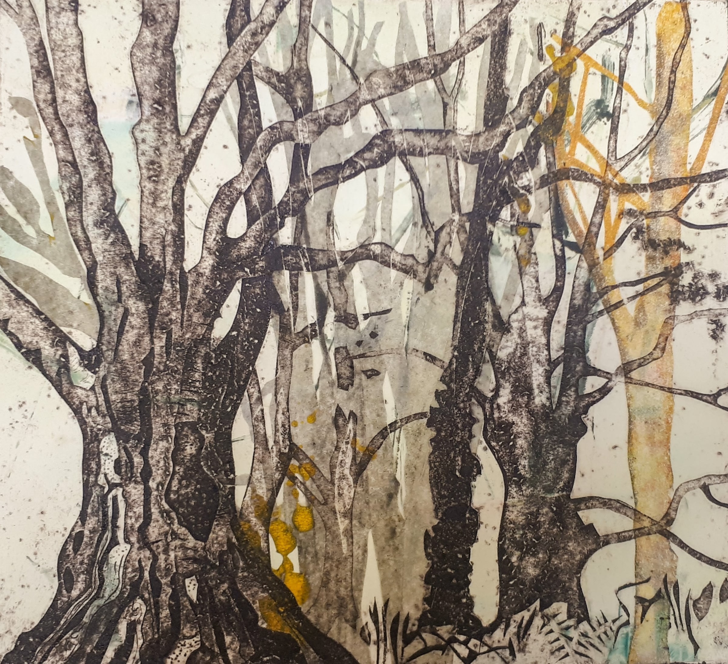 Andrew Morgan Woodland Trees | Small But Mighty | The Royal Society of ...