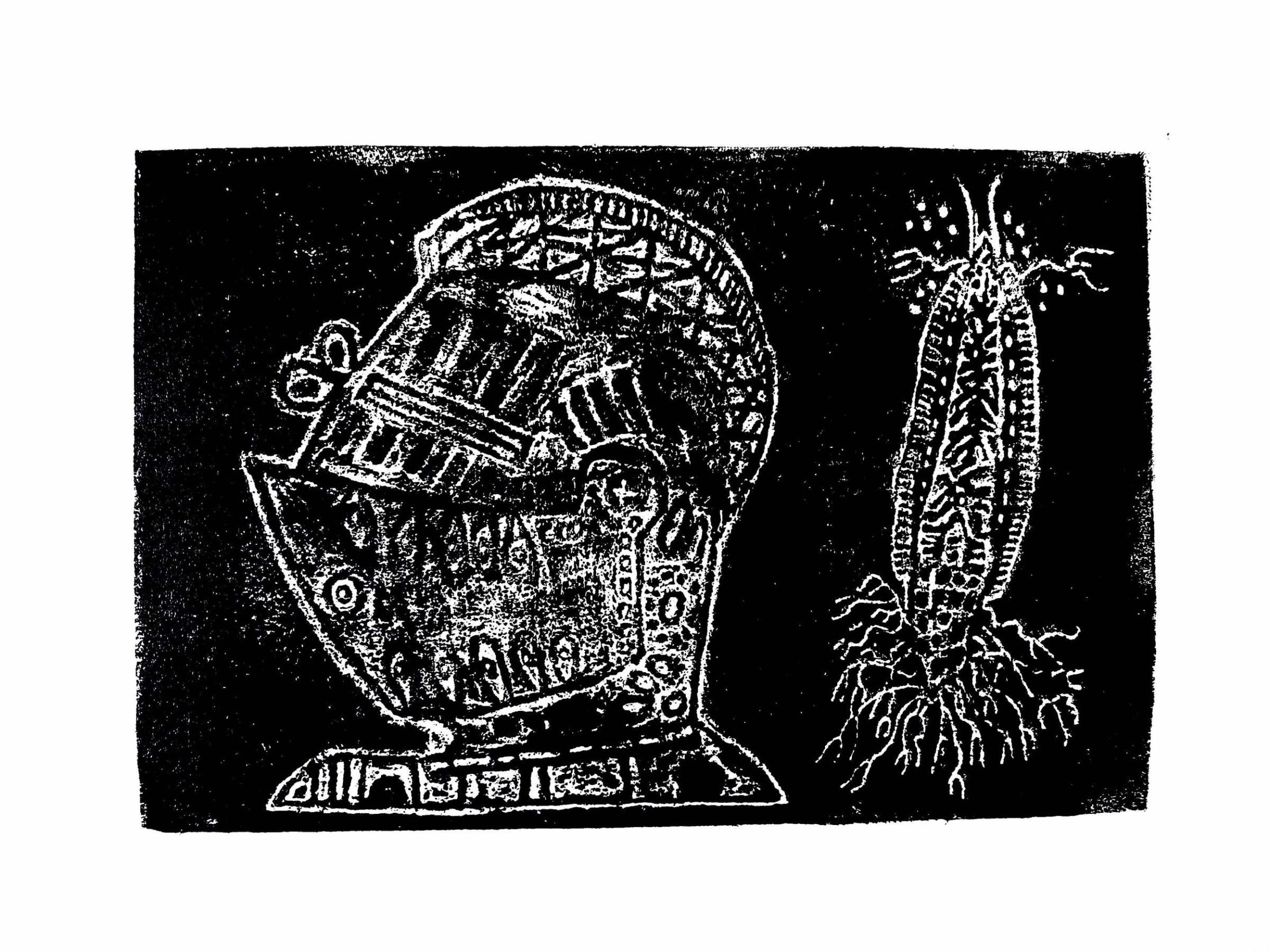 Stephen Mumberson Knight and Insect Structure | Small But Mighty | The ...