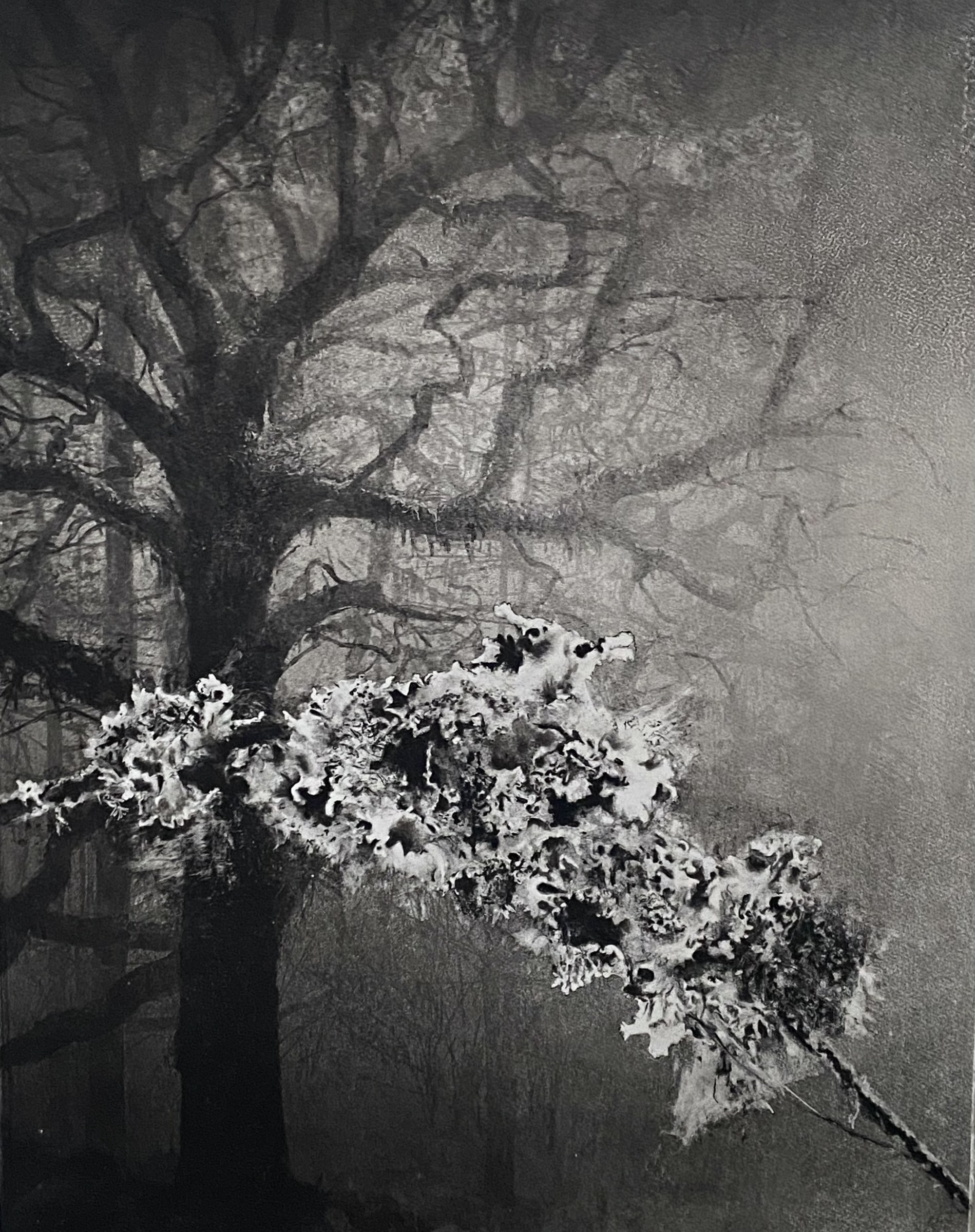 Works - RE ORIGINAL PRINTS 2025 | The Royal Society of Painter-Printmakers