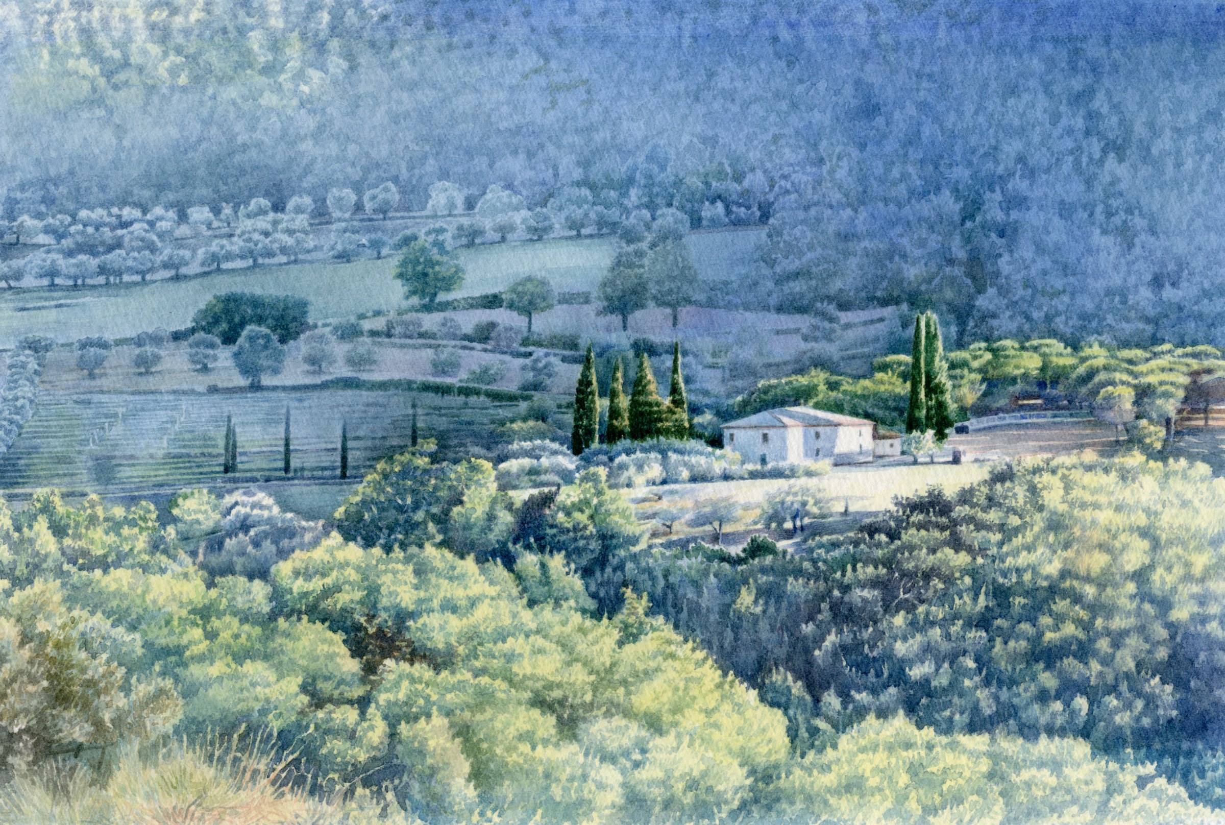 Liz Butler - Works | Royal Watercolour Society