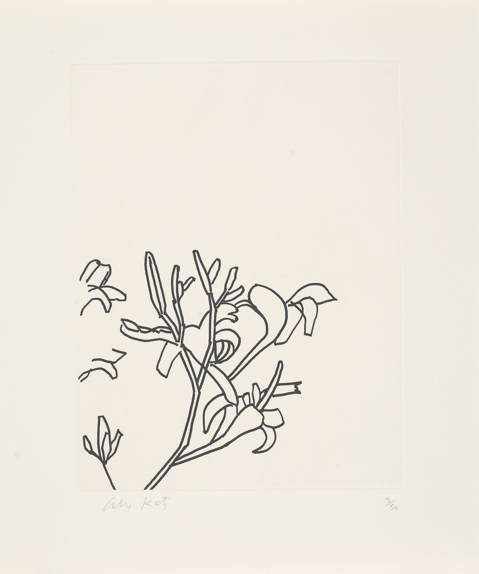 Alex Katz in Surface Tension: Etchings from the Collection | Timothy Taylor