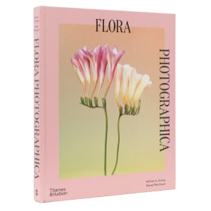 Flora Photographica | Masterworks of Contemporary Flower Photography ...