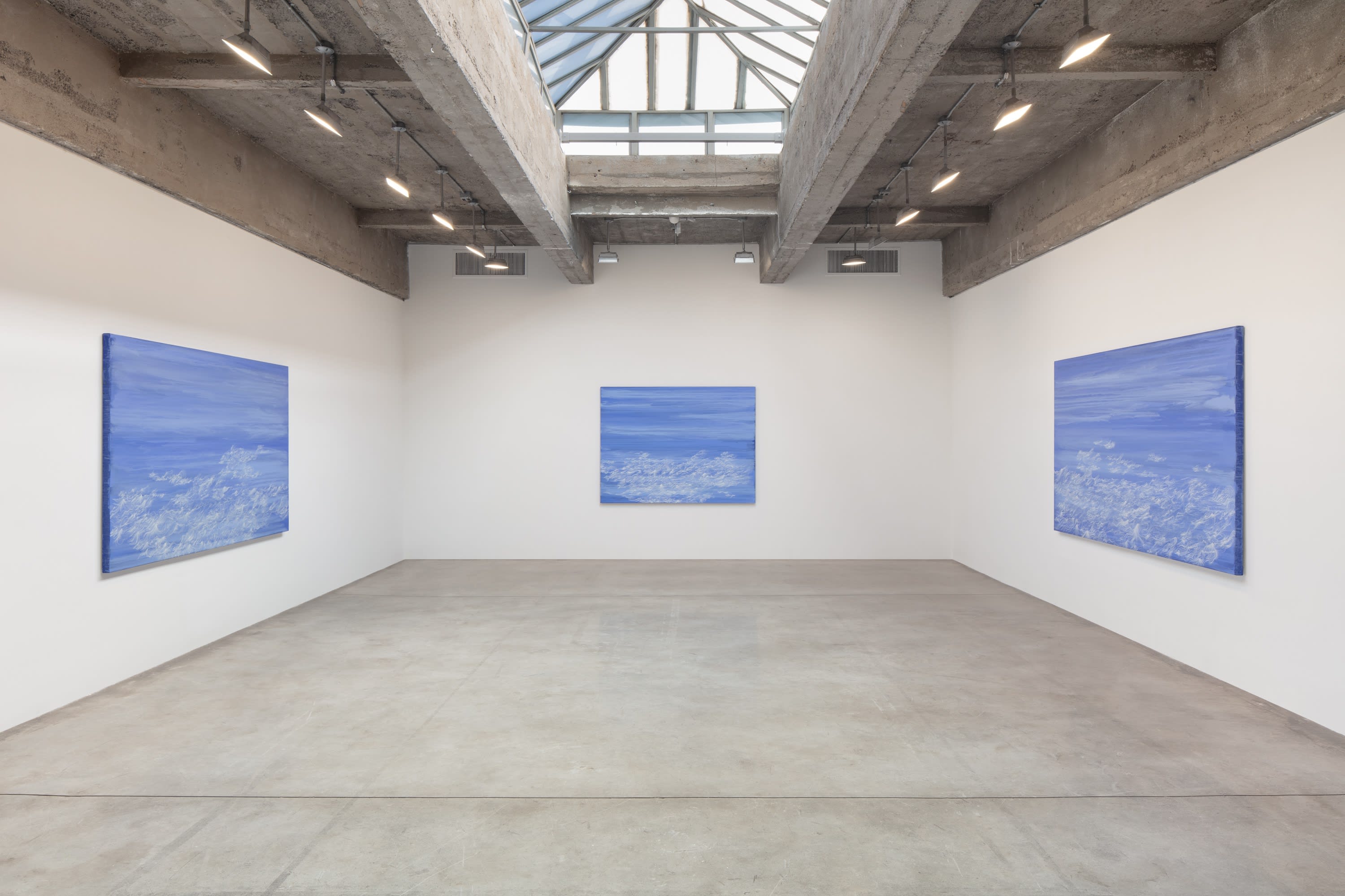 Sandra Cinto | January 6 - February 10, 2024 | Tanya Bonakdar Gallery