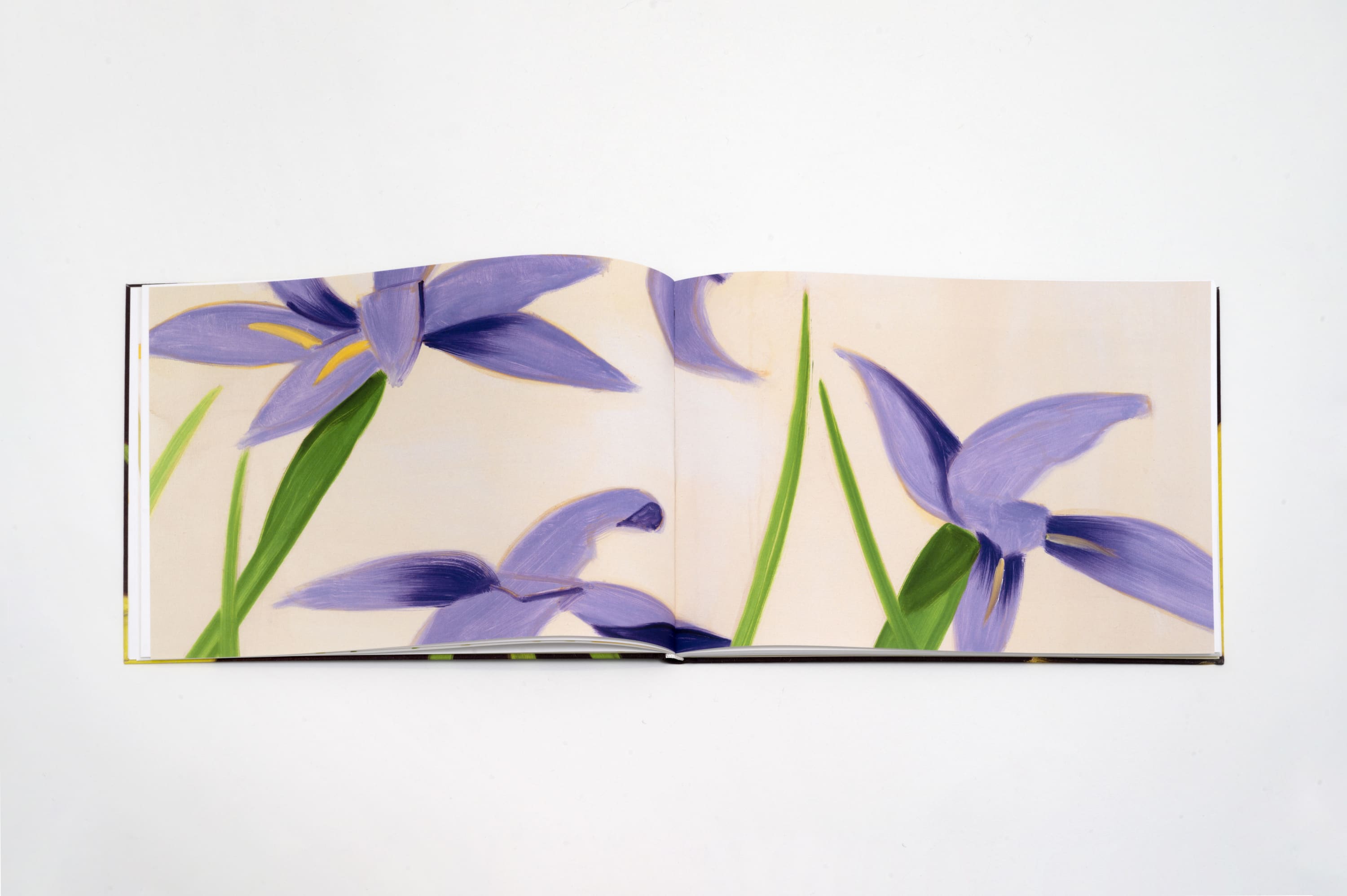 Publications | Thaddaeus Ropac