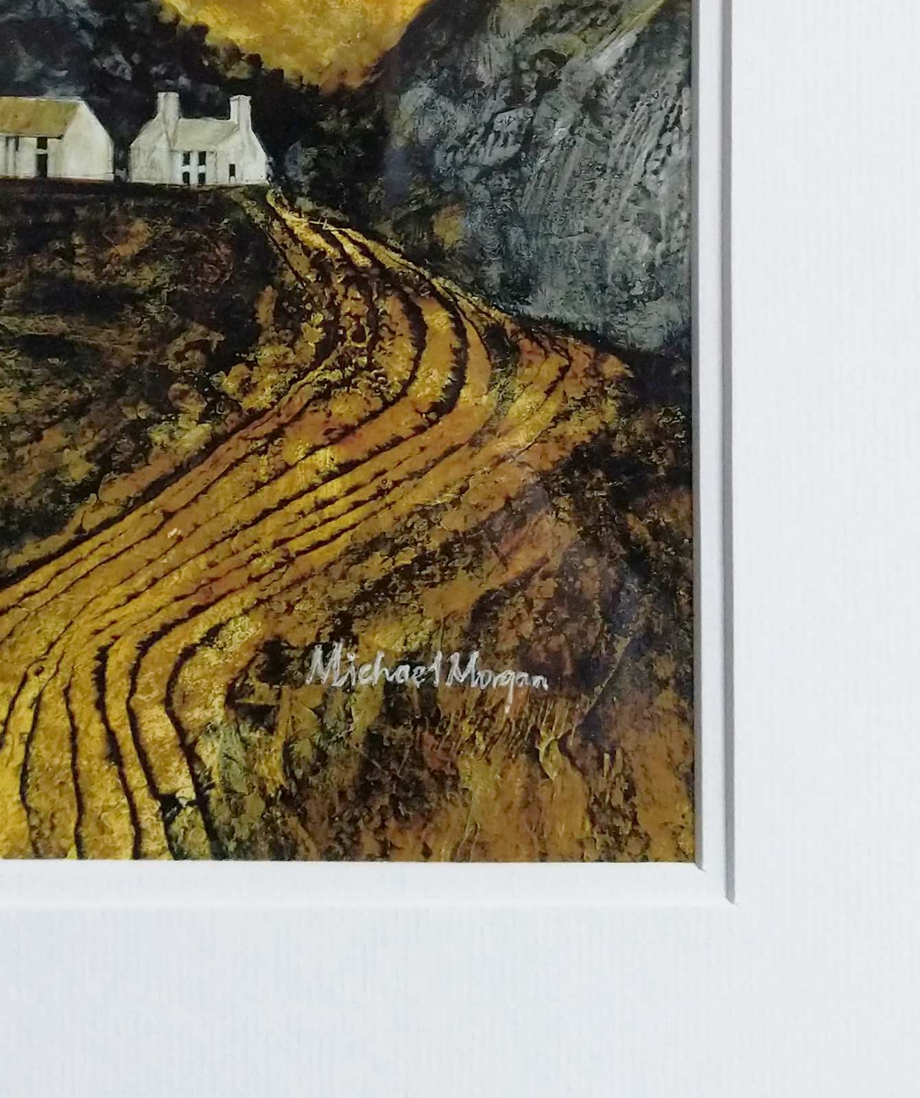 Quarry Farm Revisited | Forest Gallery