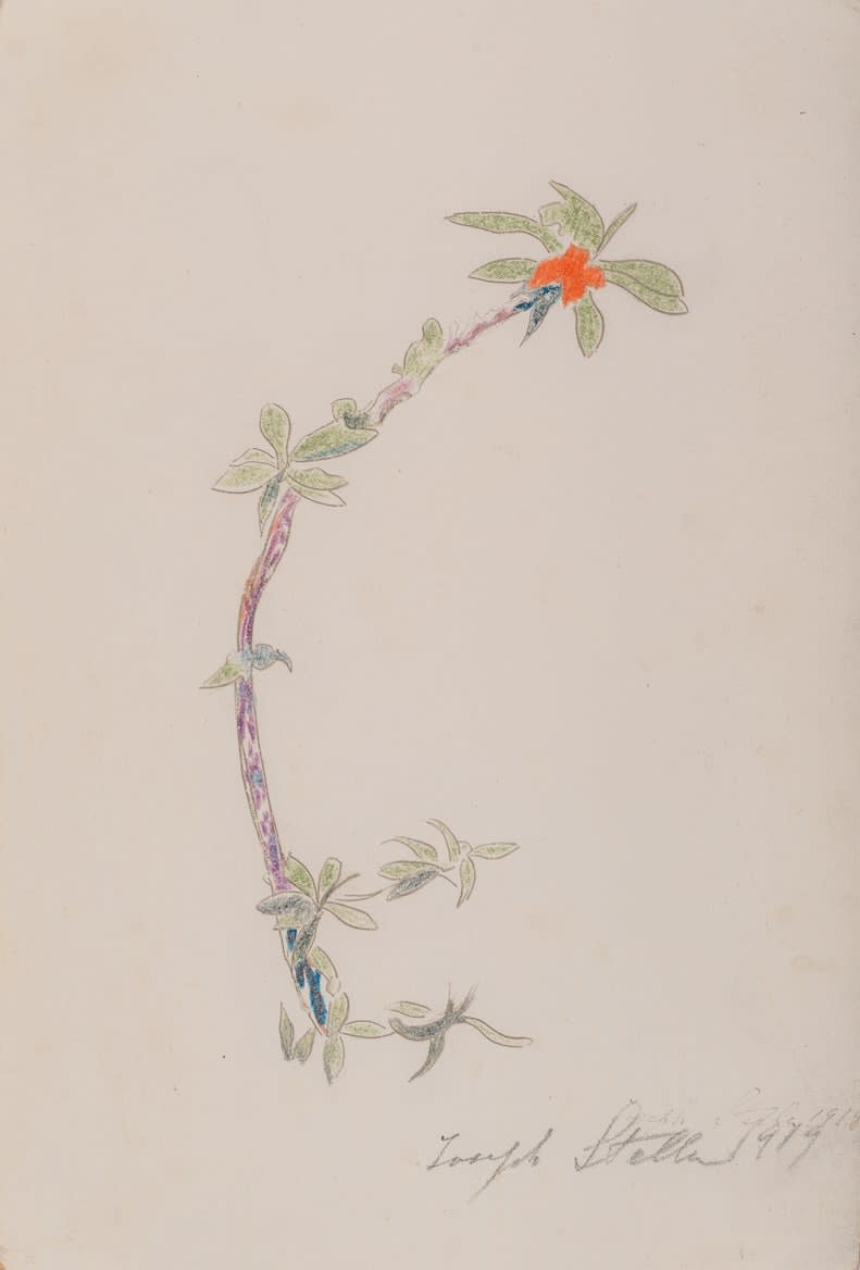 Joseph Stella, Single Stem Flower Vine, 1919 | Avery Galleries