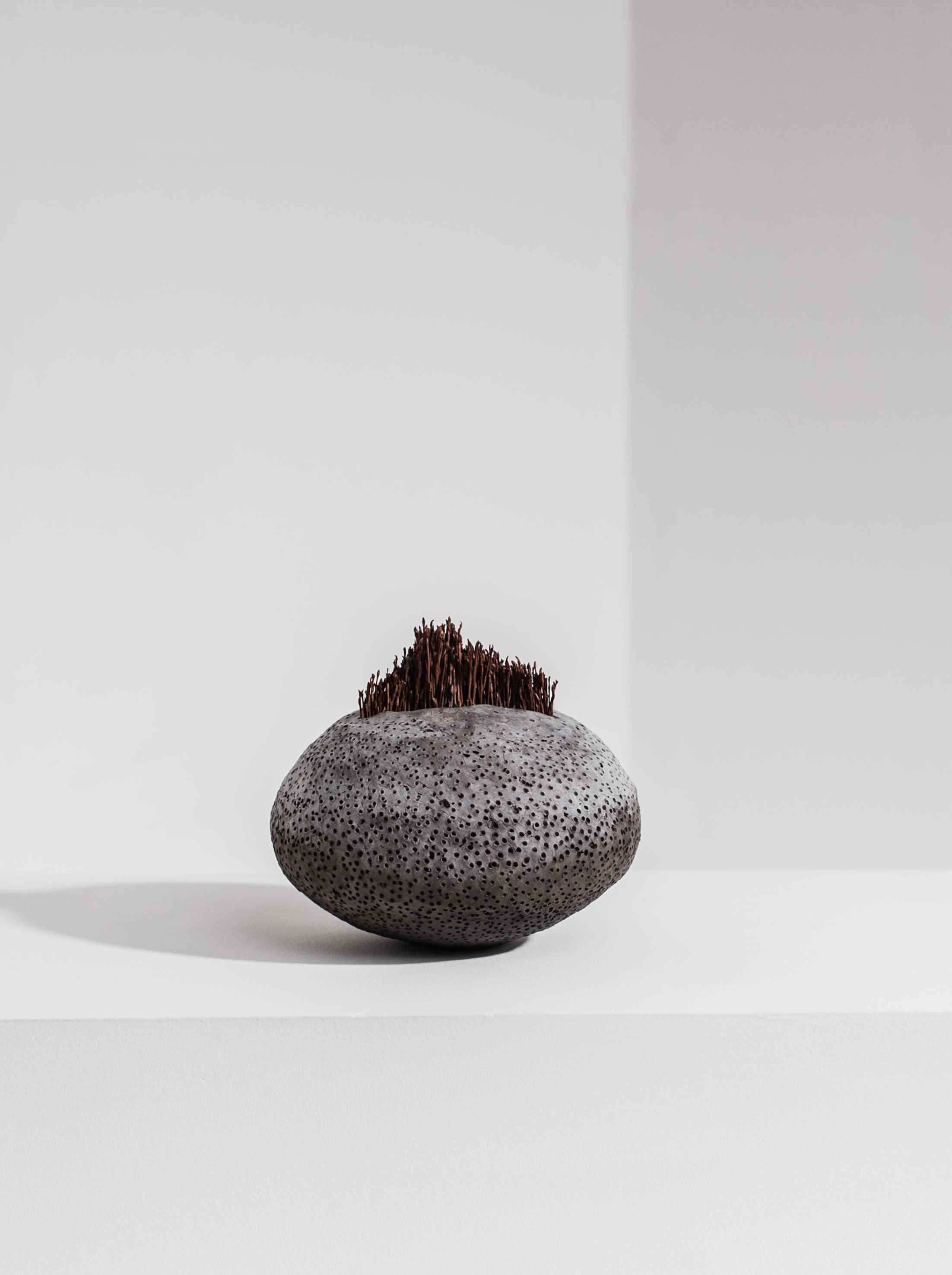 Caroline Sharp, Large Round Seed, 2023 | Contemporary Applied Arts