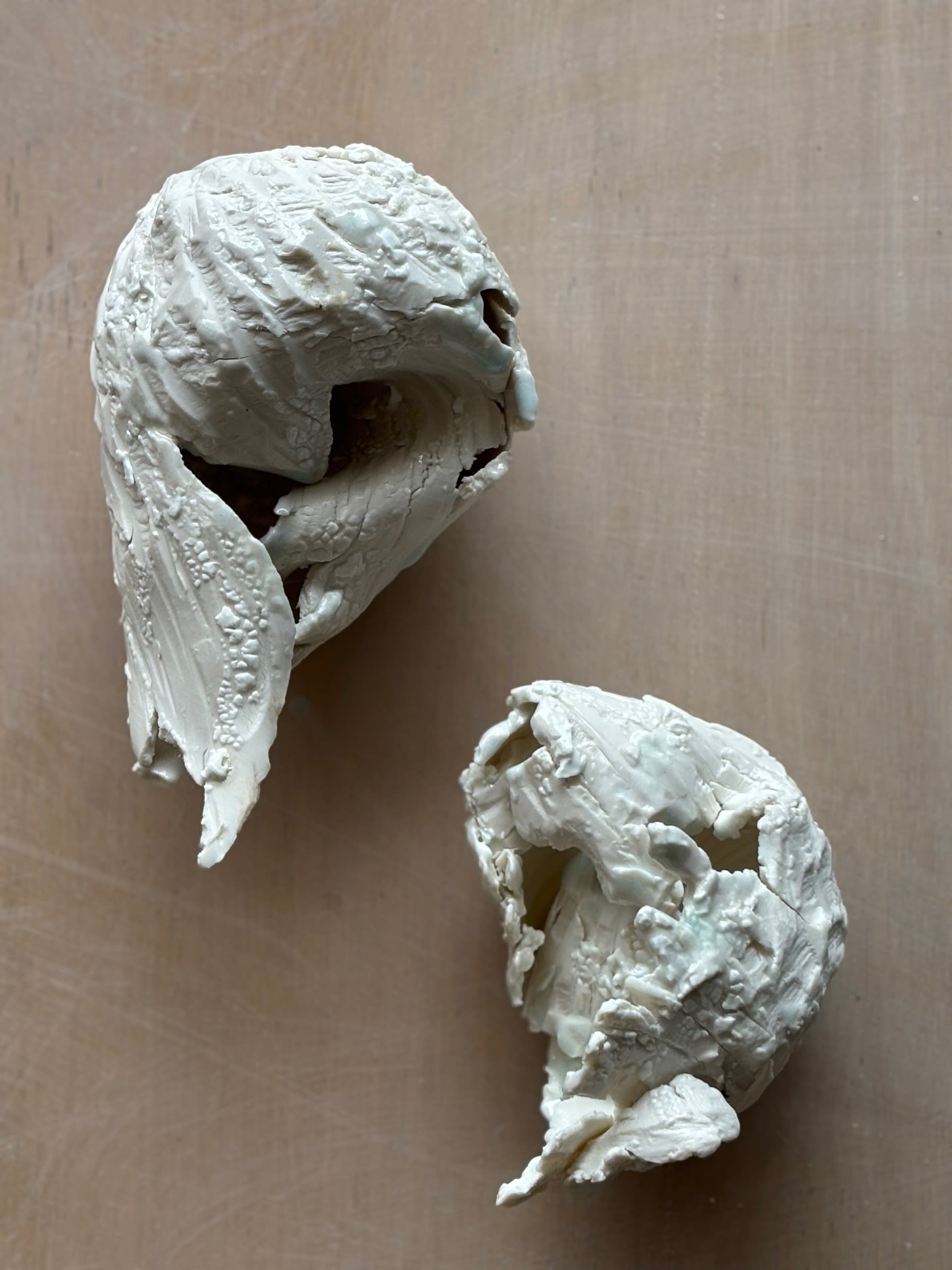 Nancy Main, Fallen 1, 2025 | Contemporary Applied Arts