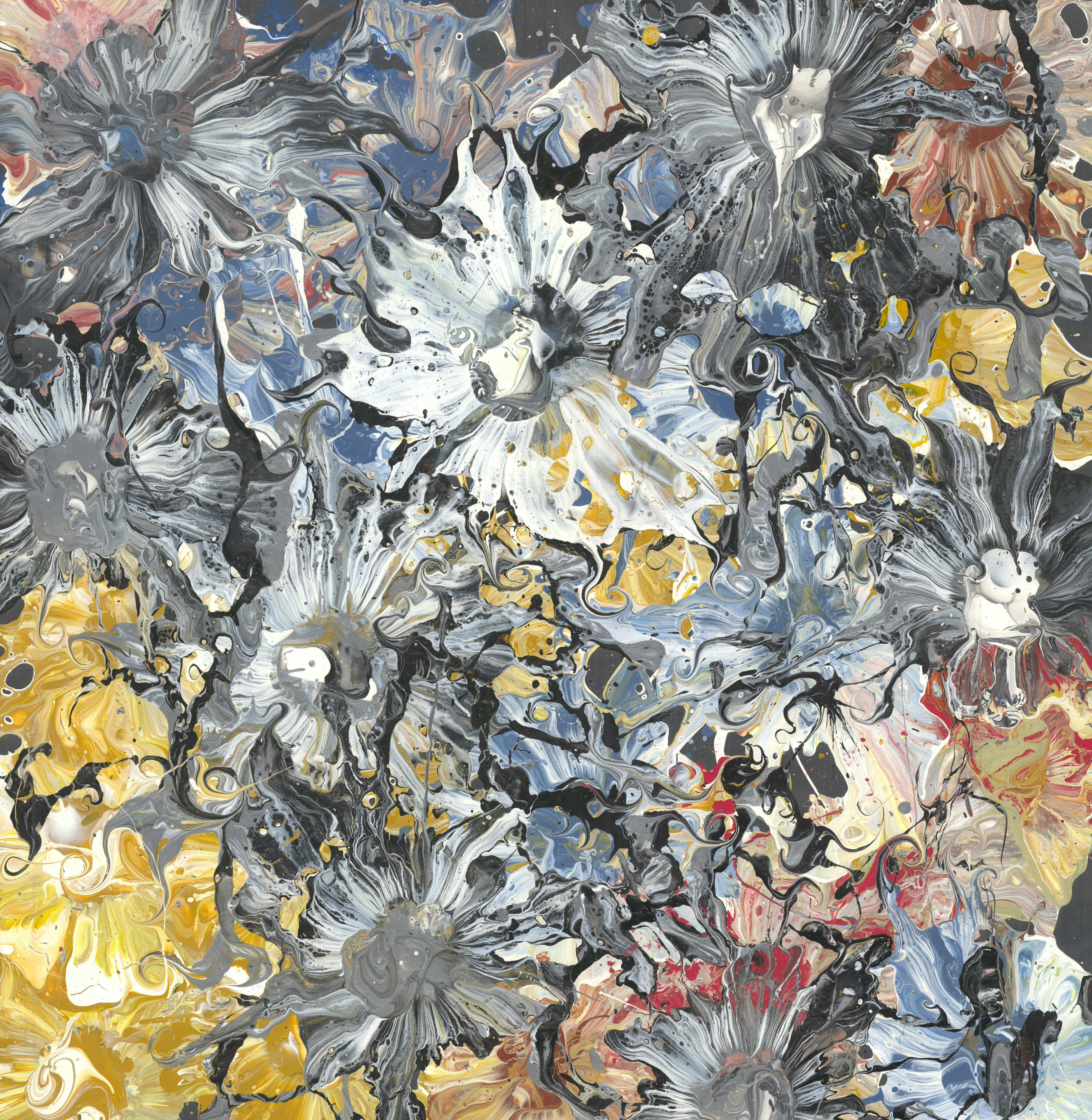 Rowdy Warren, Wild Fields, 2017 | Canberra Art Gallery