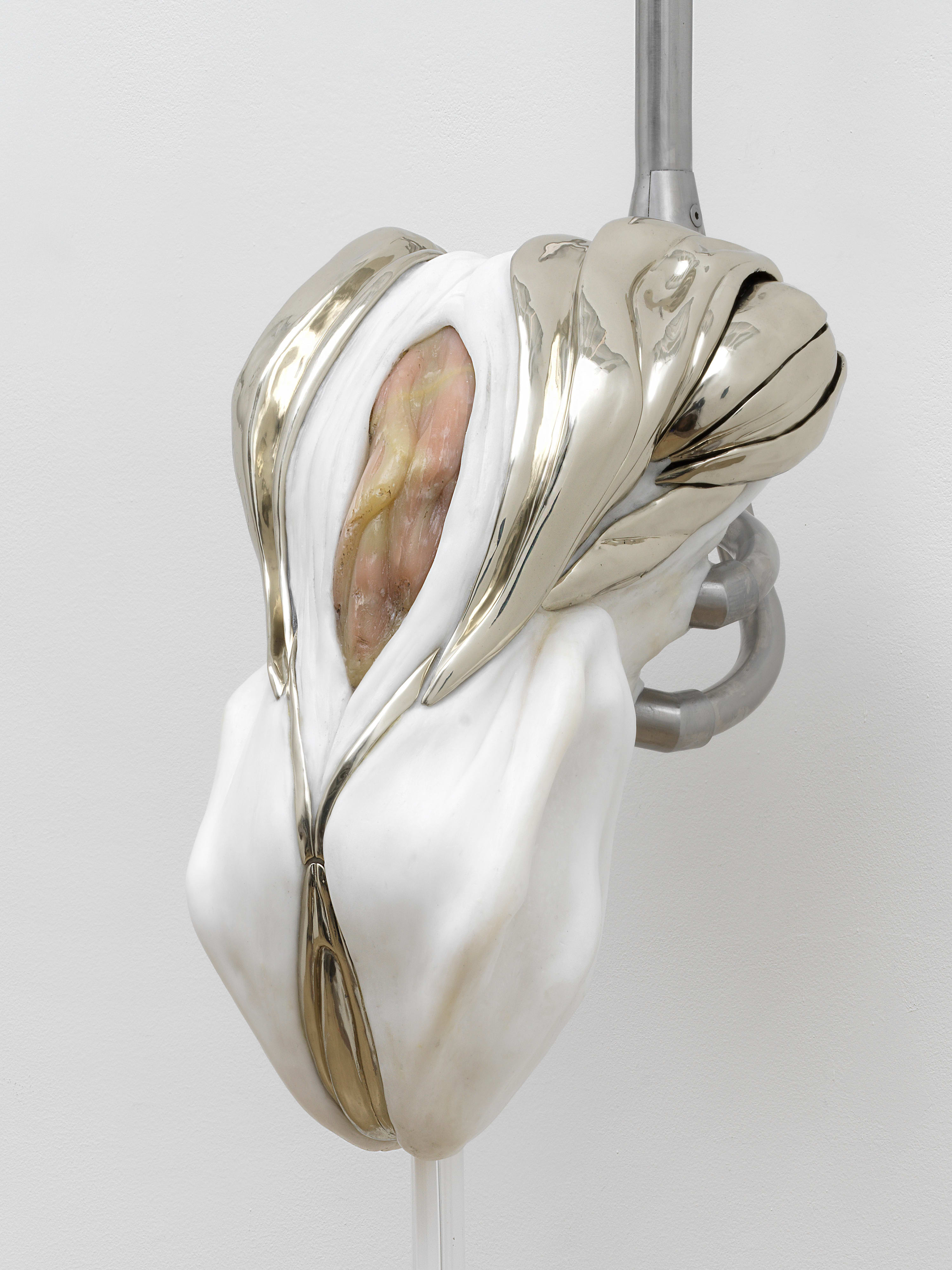 Ivana Bašić 伊凡娜·帕斯奇, Pneumatic Positions II: Blossoming 气动姿态II：绽放, 2023 ...