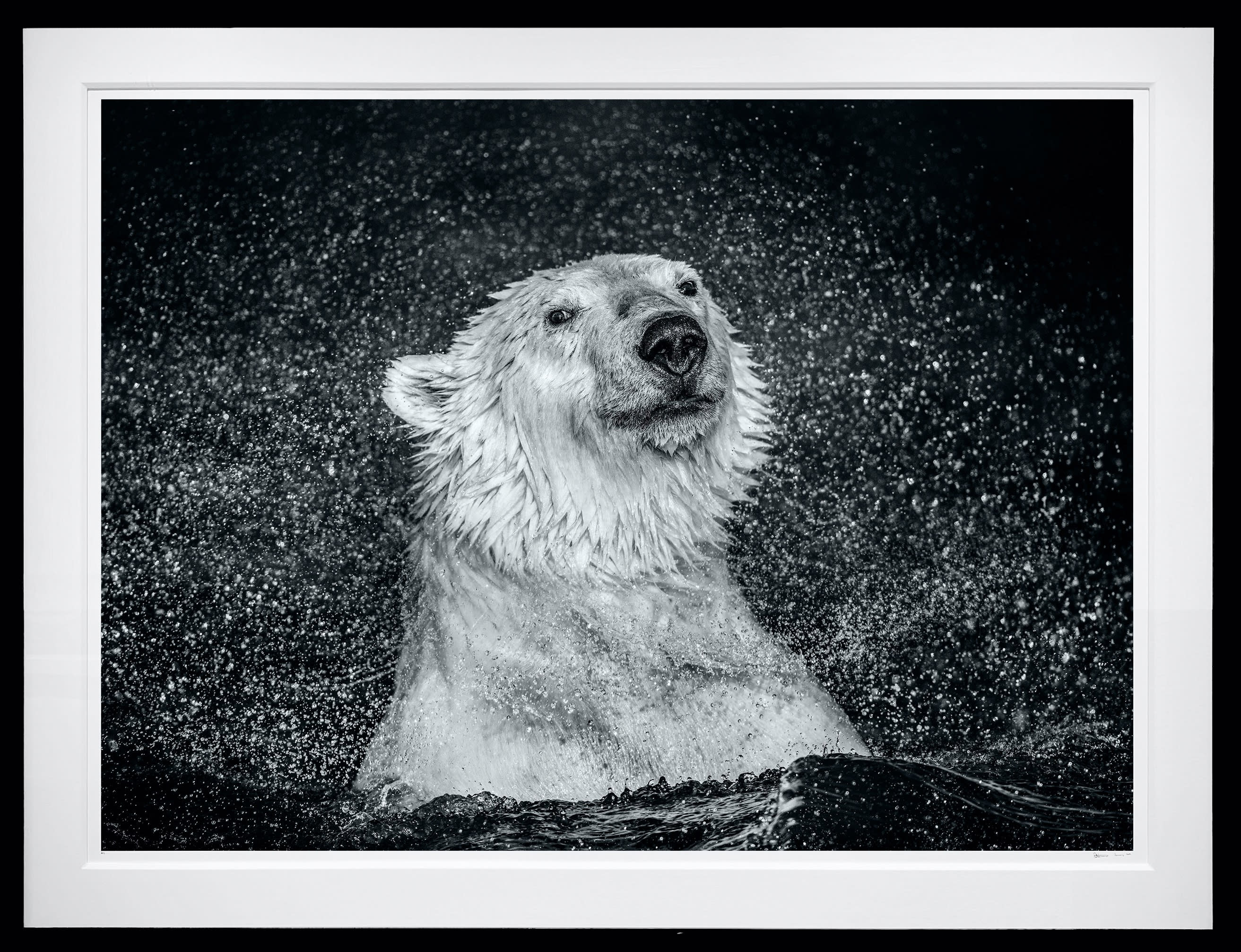 David Yarrow, Open Water, 2020 | Casterline|Goodman Gallery