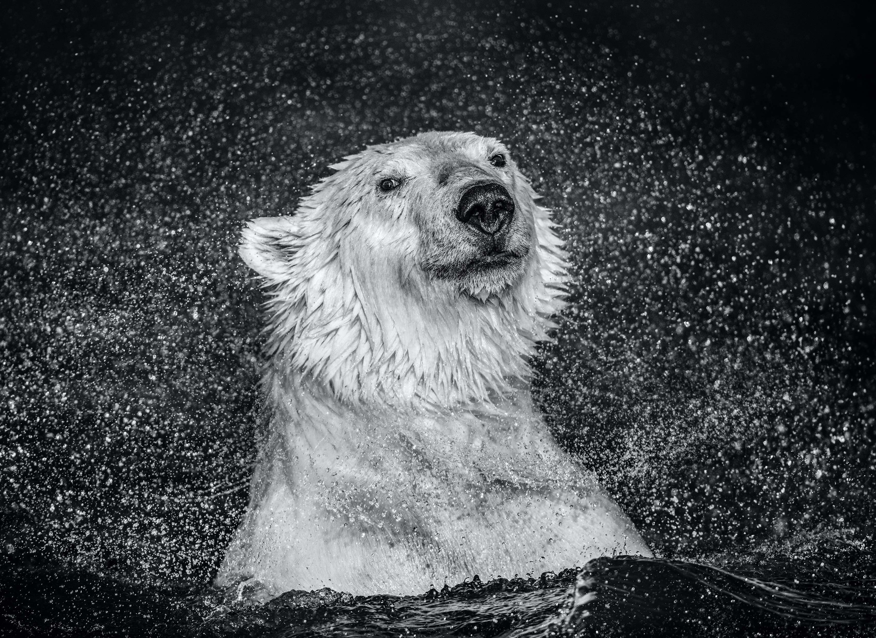 David Yarrow, Open Water, 2020 | Casterline|Goodman Gallery
